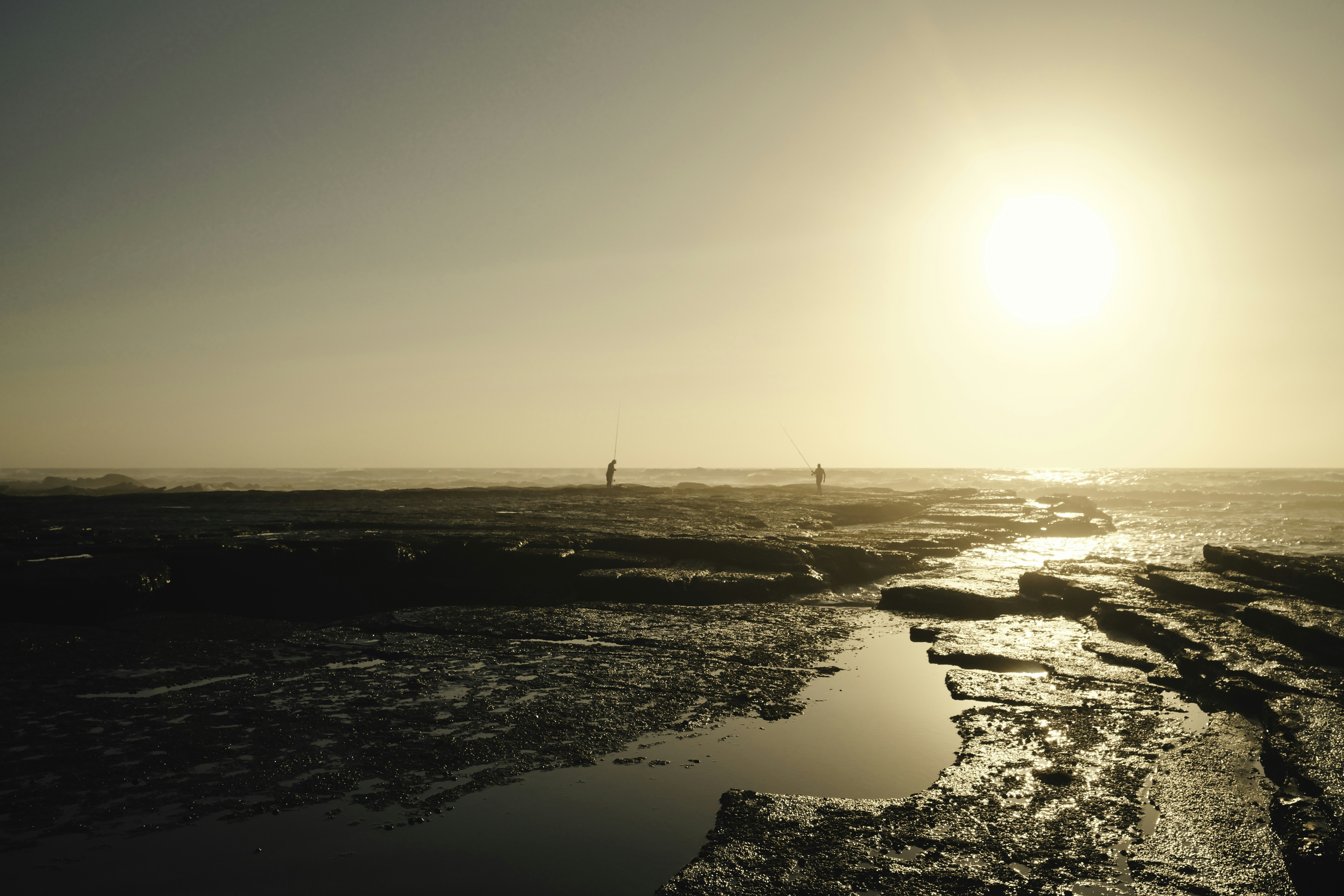 Sunlit Tidal Flats at Distant Horizon