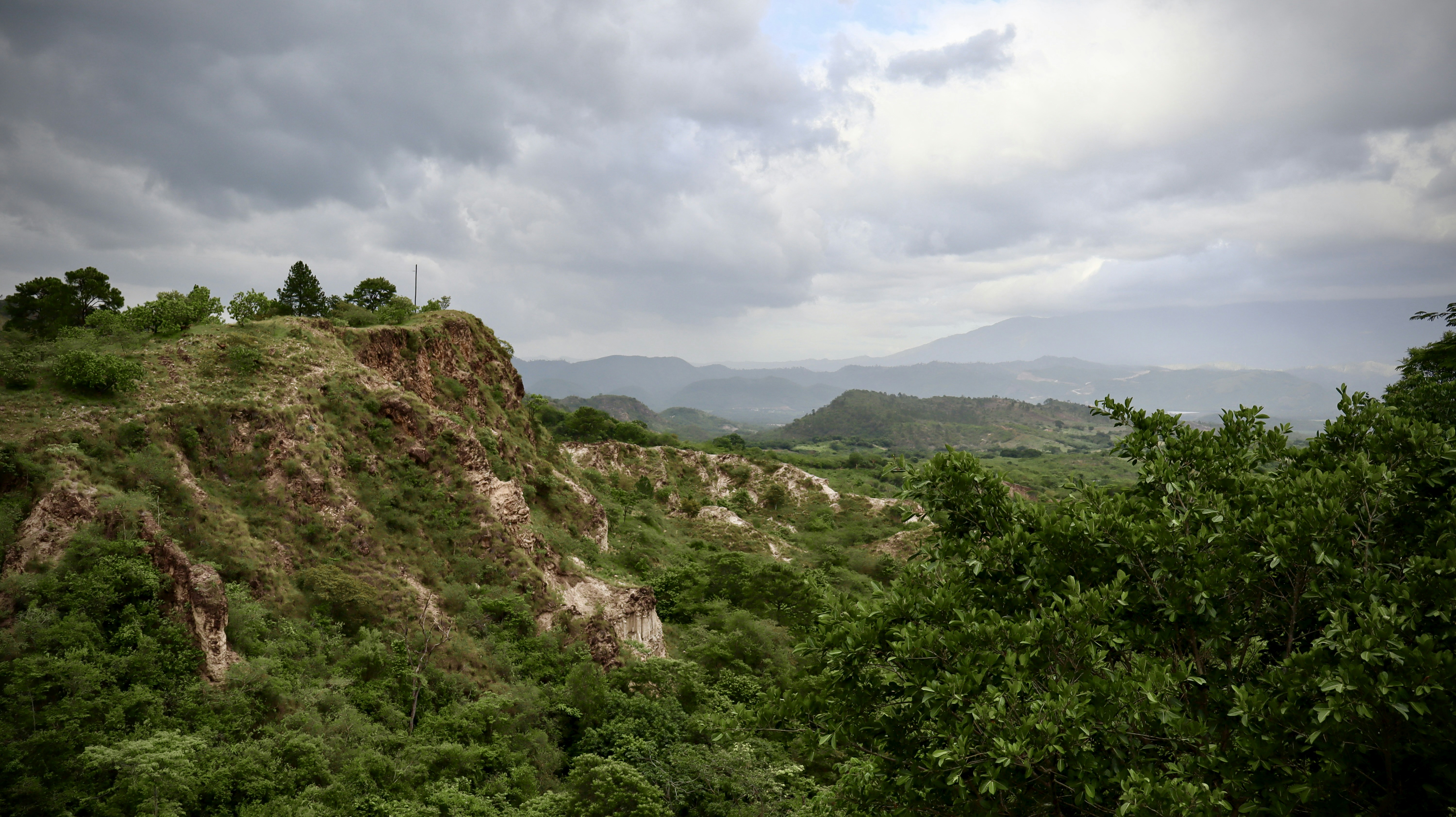 Ridgecrest Overlook: Cliffside Green meets Distant Mist