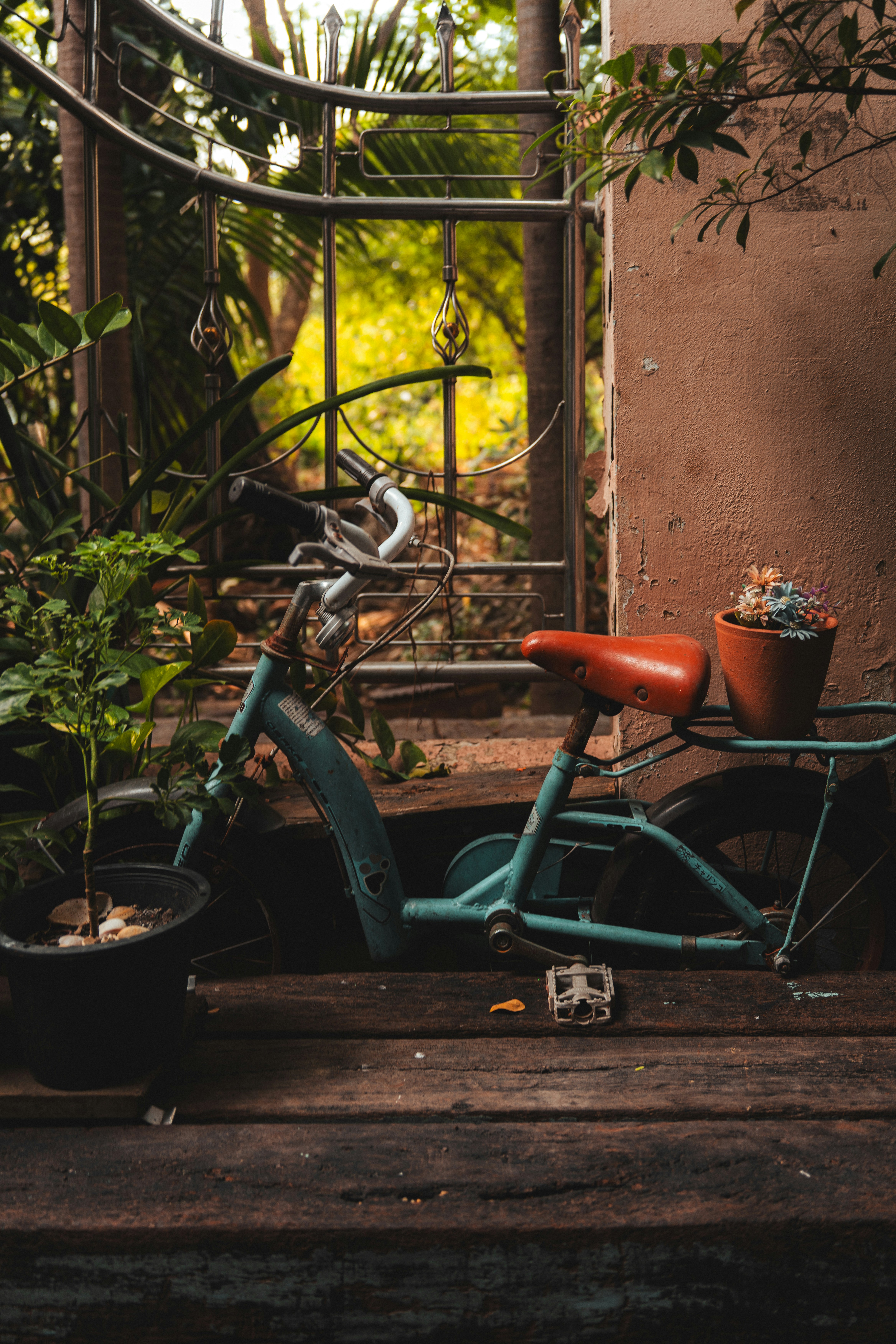 Weathered turquoise bicycle rests beside leafy courtyard wall