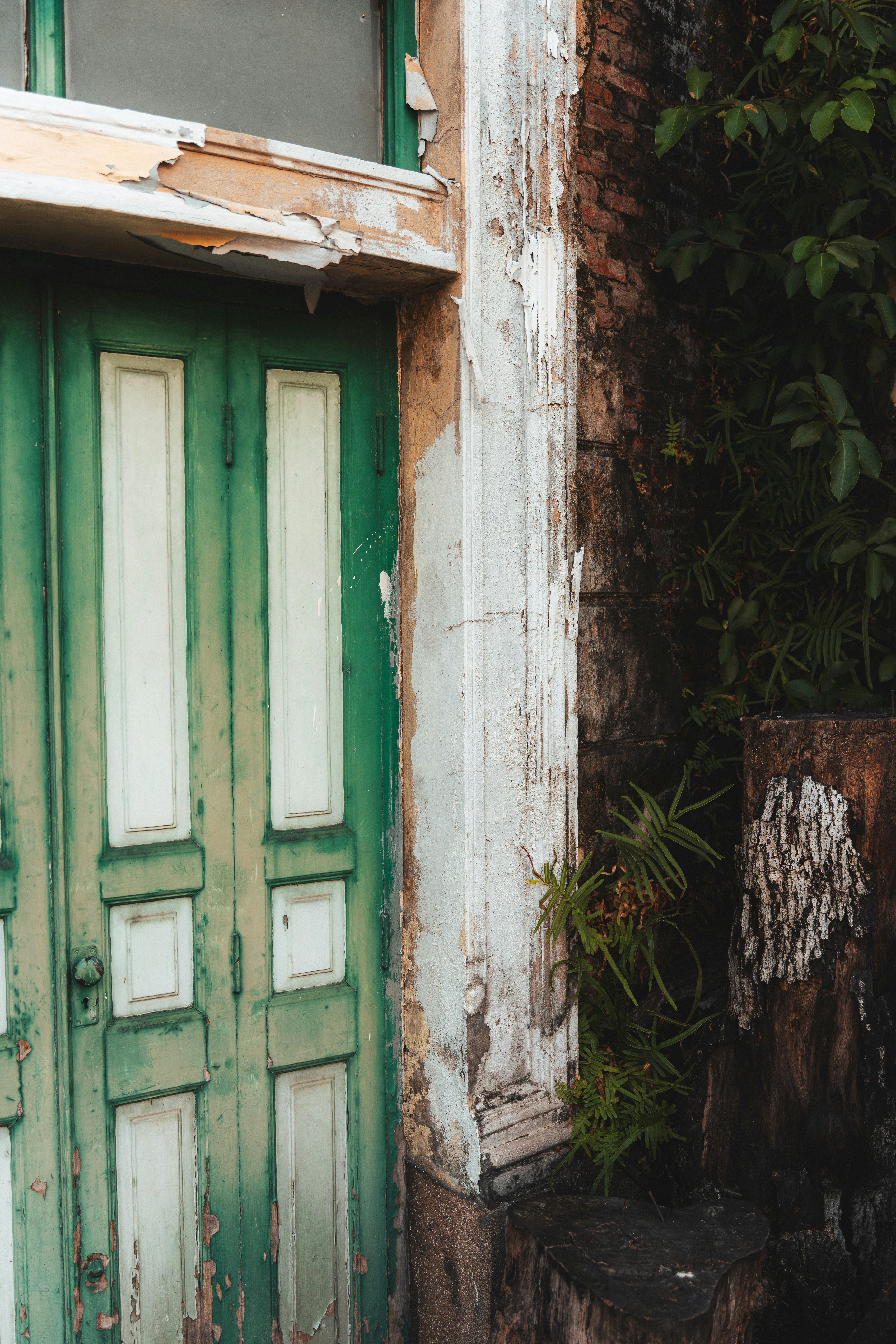 Weathered Green Doorway Framed by Ivy and Decay
