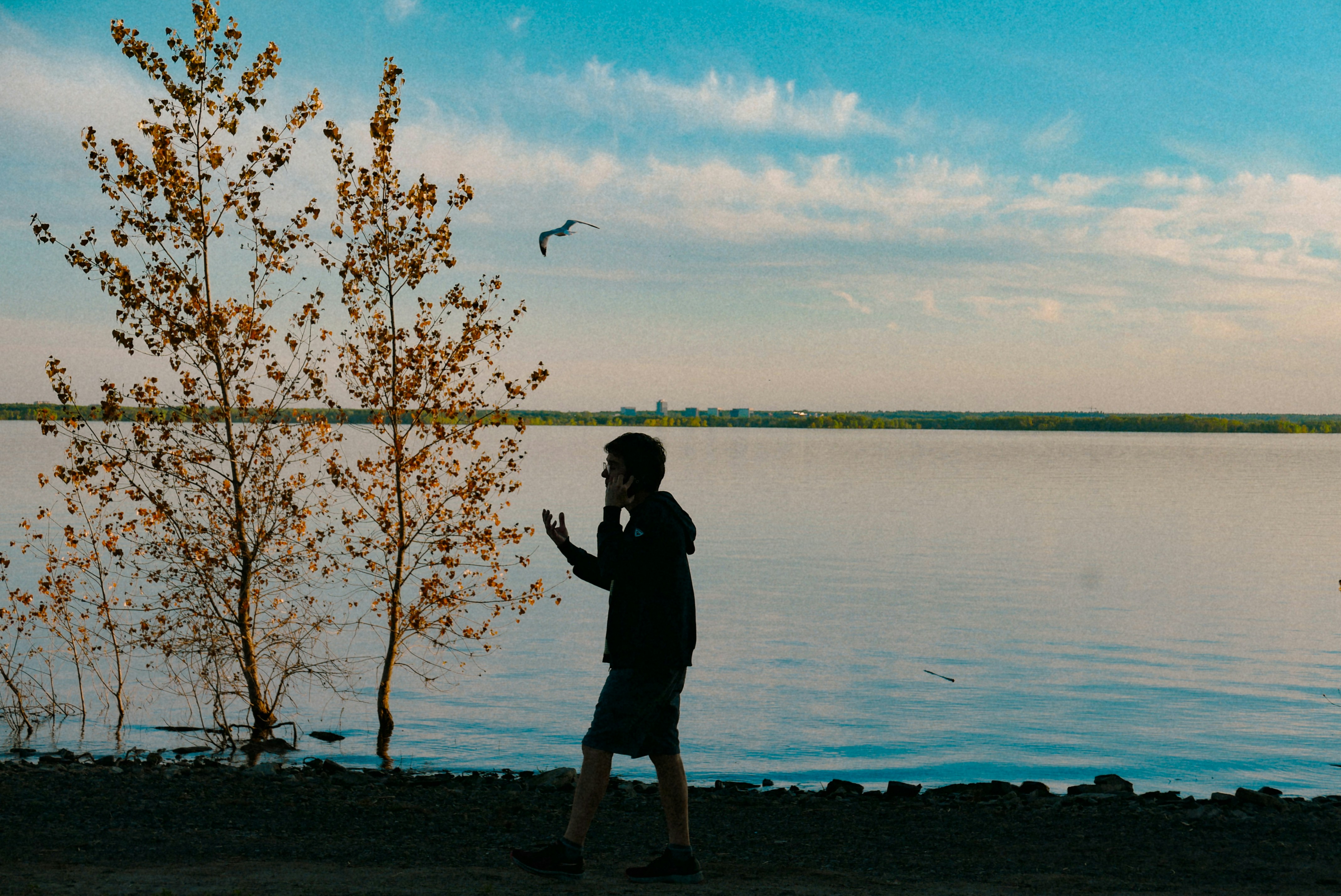 Runner by the Shoreline: A Silhouette in Quiet Sunset