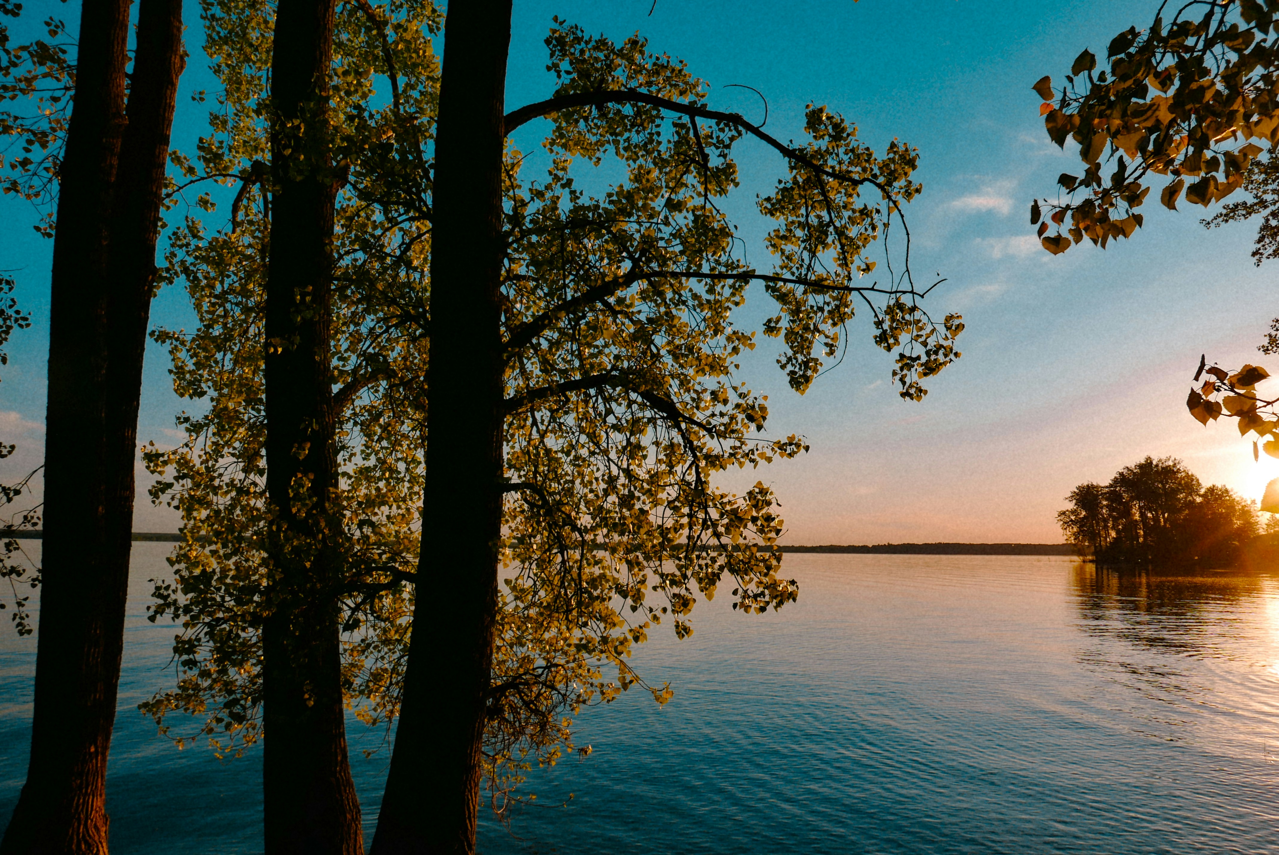 Sunset Over the Quiet Lake: Silhouettes and Distant Light