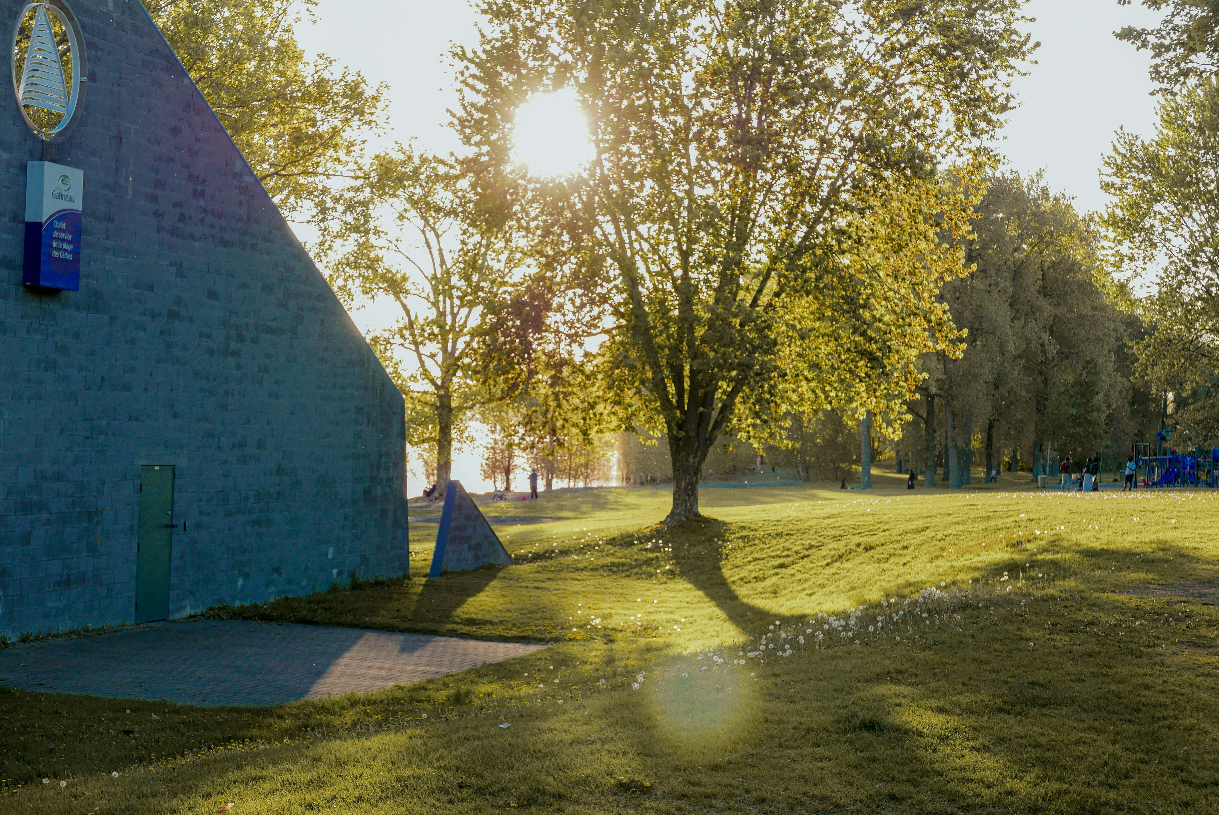 Sunlit Park with Modern Blue Structure and Verdant Path