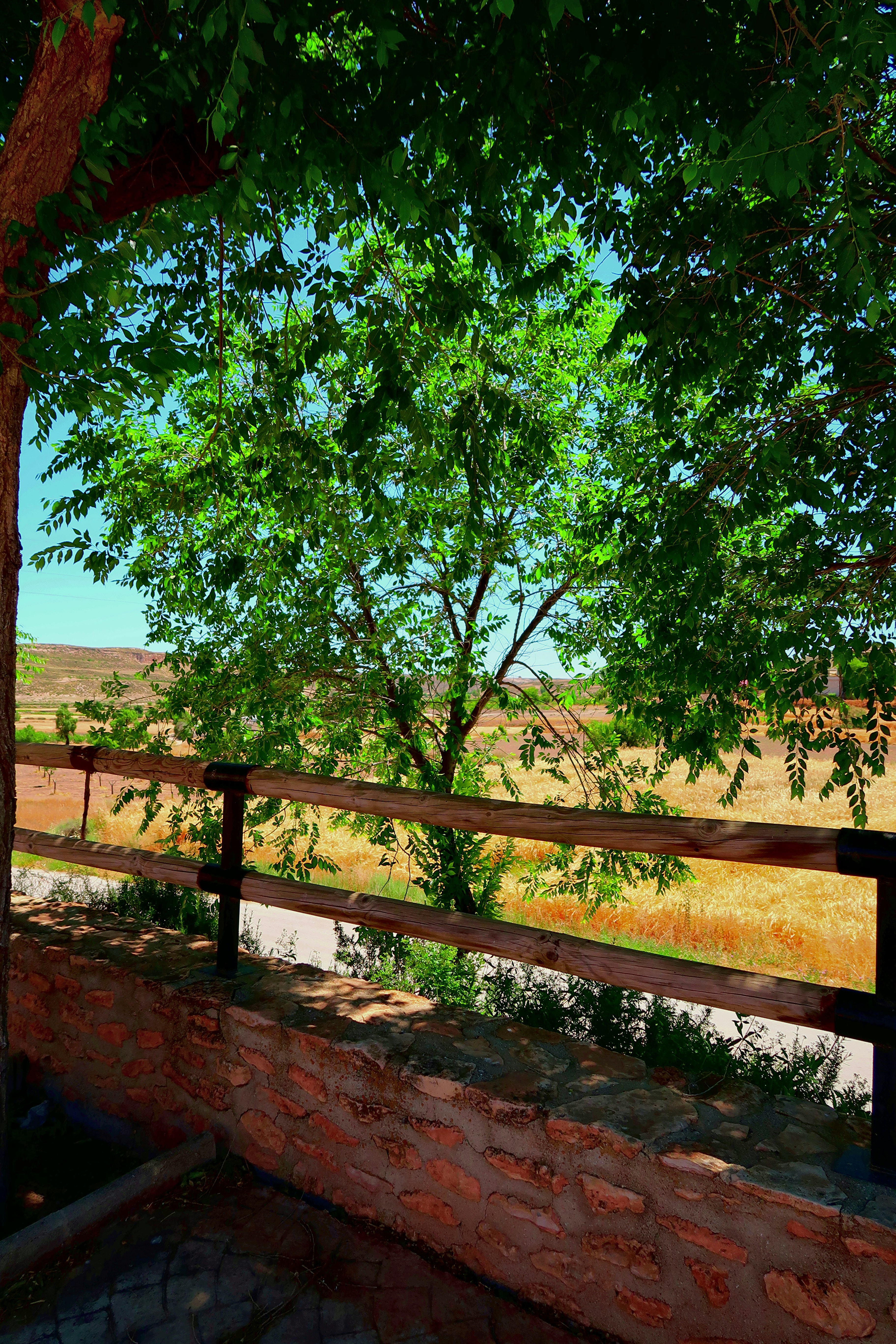 Shaded Terrace Overlooking a Sunlit Field
