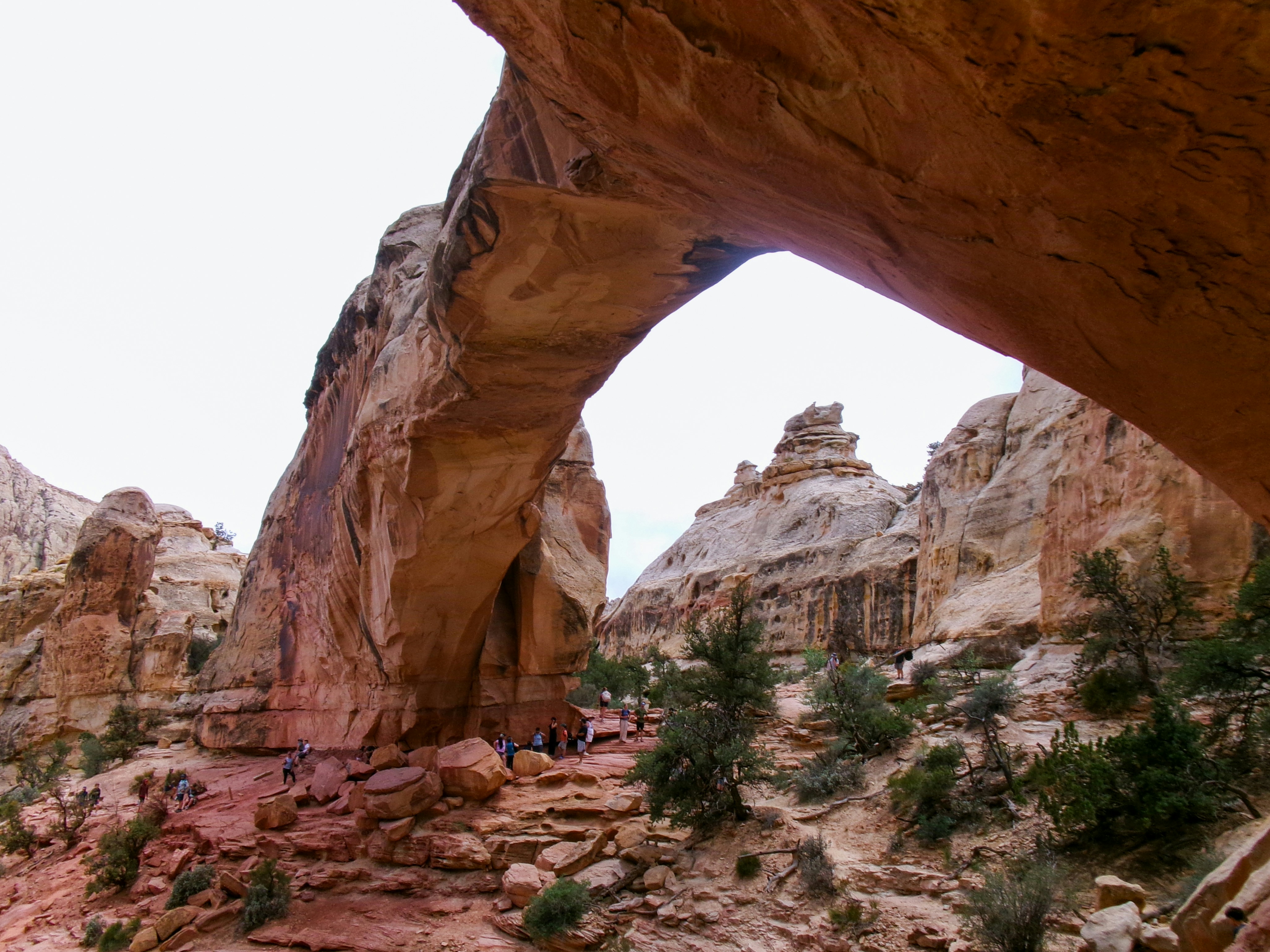 Stone Arch Overlook: Canyon Vistas Beneath a Natural Span