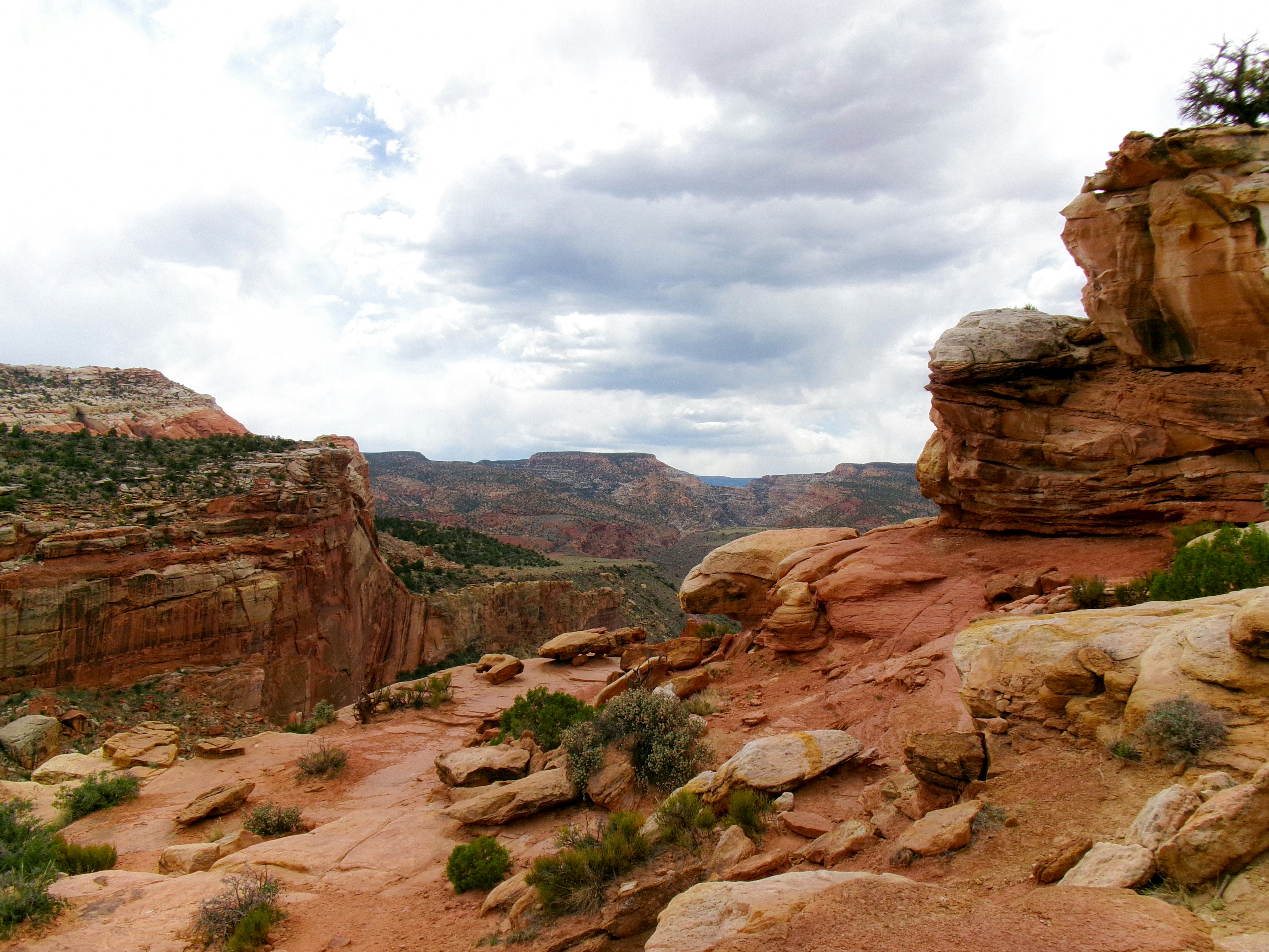 Red Canyon Overlook: Weathered Layers and Skyward Formations