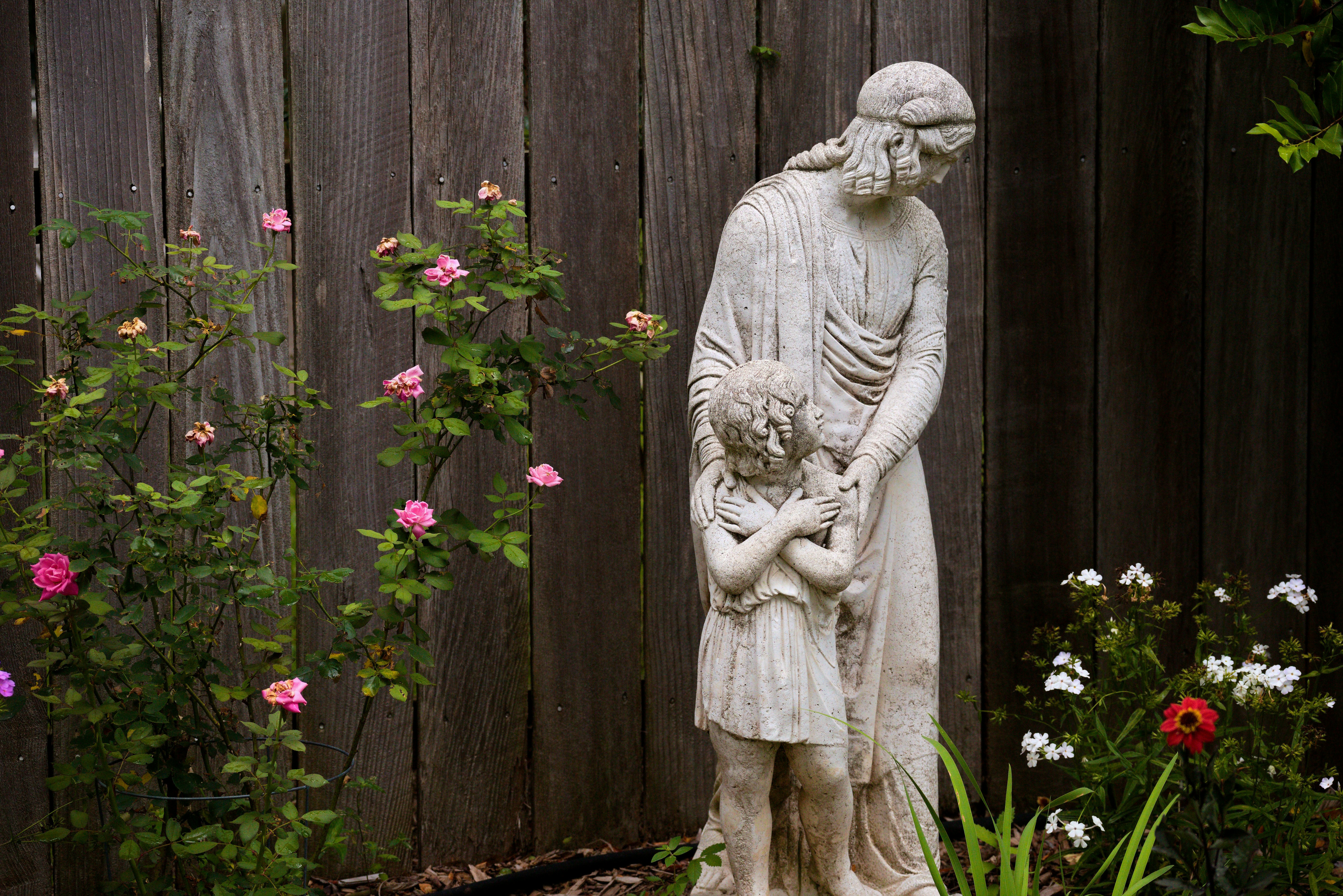 Guardians in the Garden: A Quiet Bond Between Statue and Rose