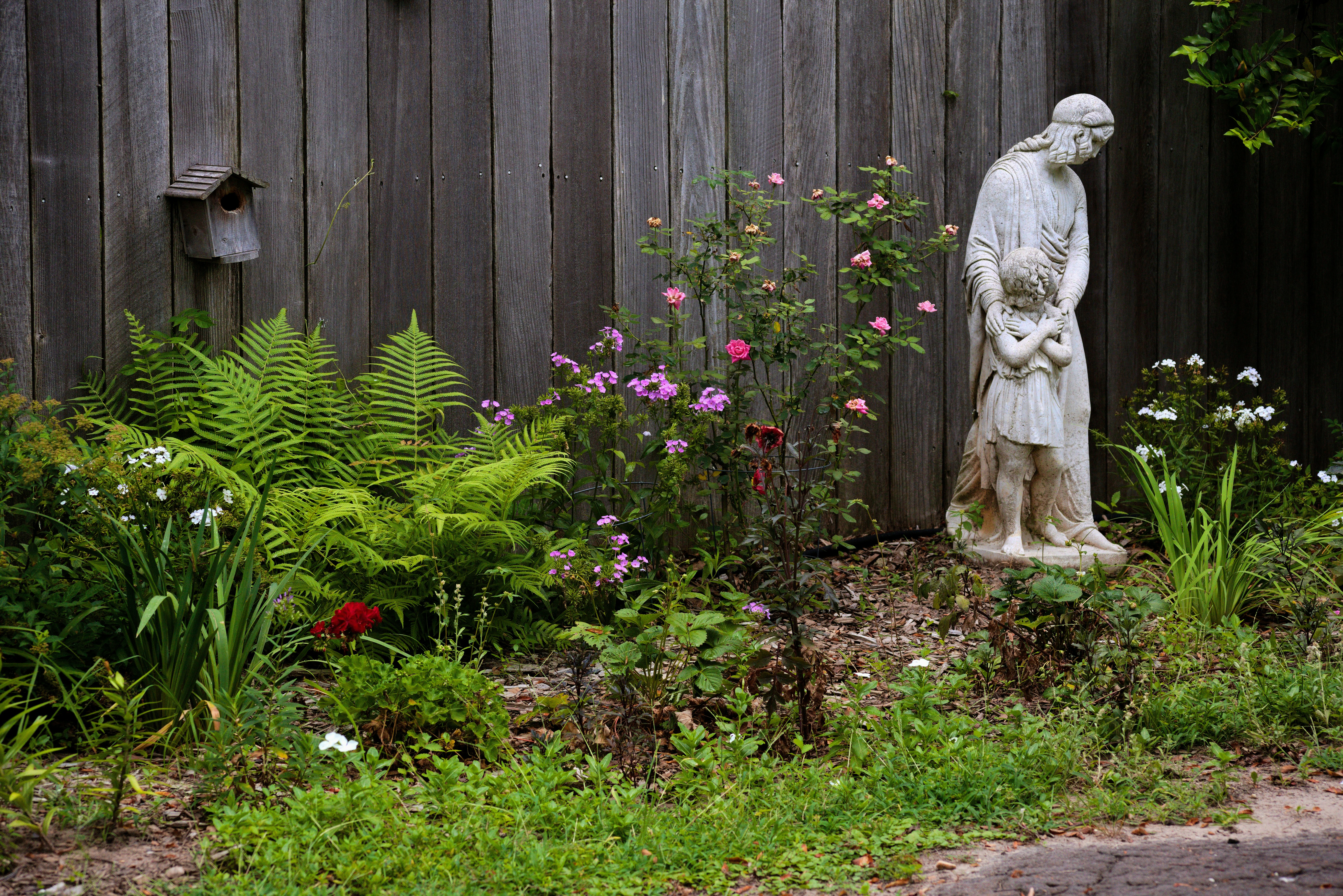 A photograph of some plants and flowers in my garden. I thought this would make a good reference photo for artworks. It's safe to use.