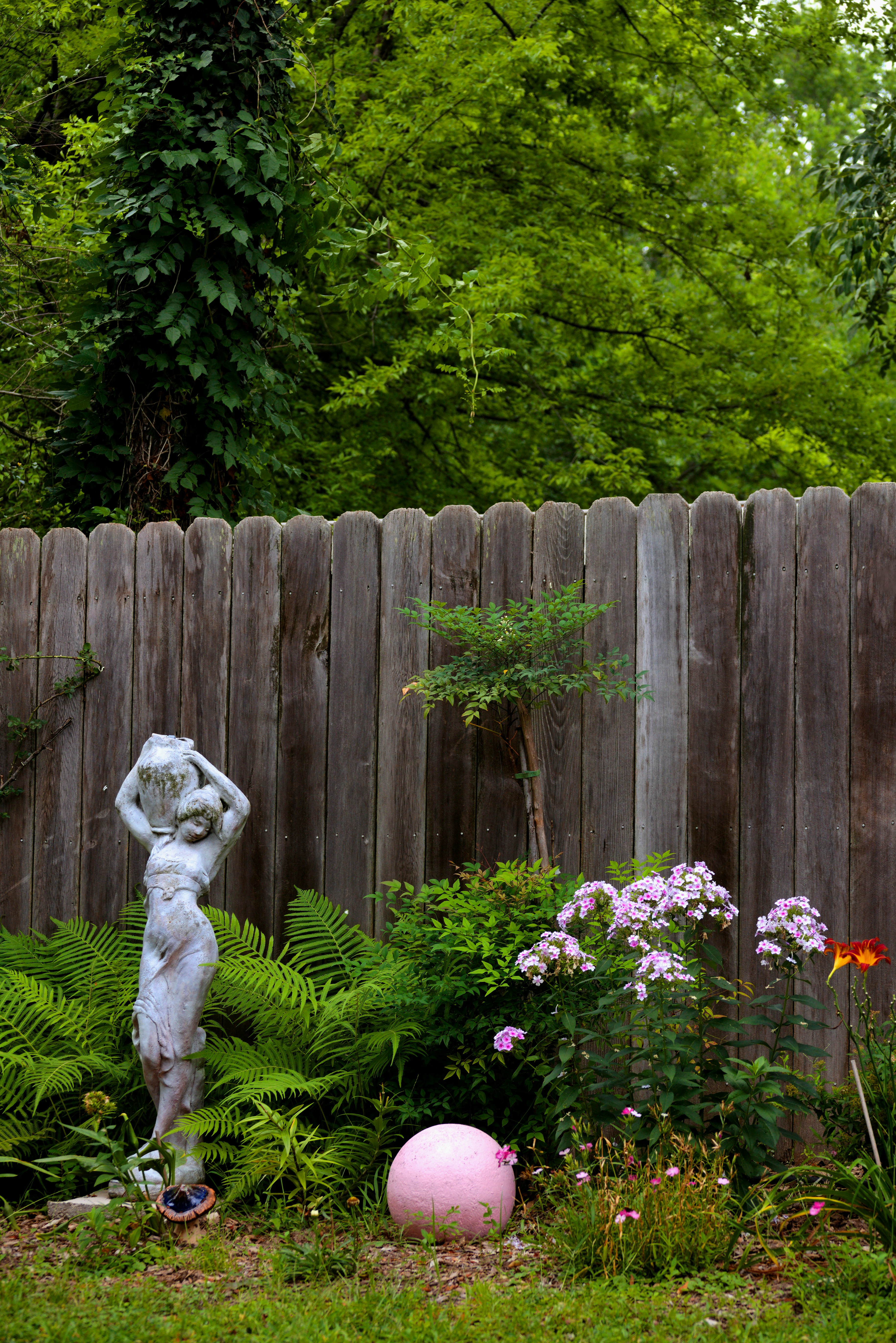 Stone statue in a garden stands beside a weathered wooden fence, surrounded by ferns, flowering shrubs, and a pale pink ball resting on the ground.