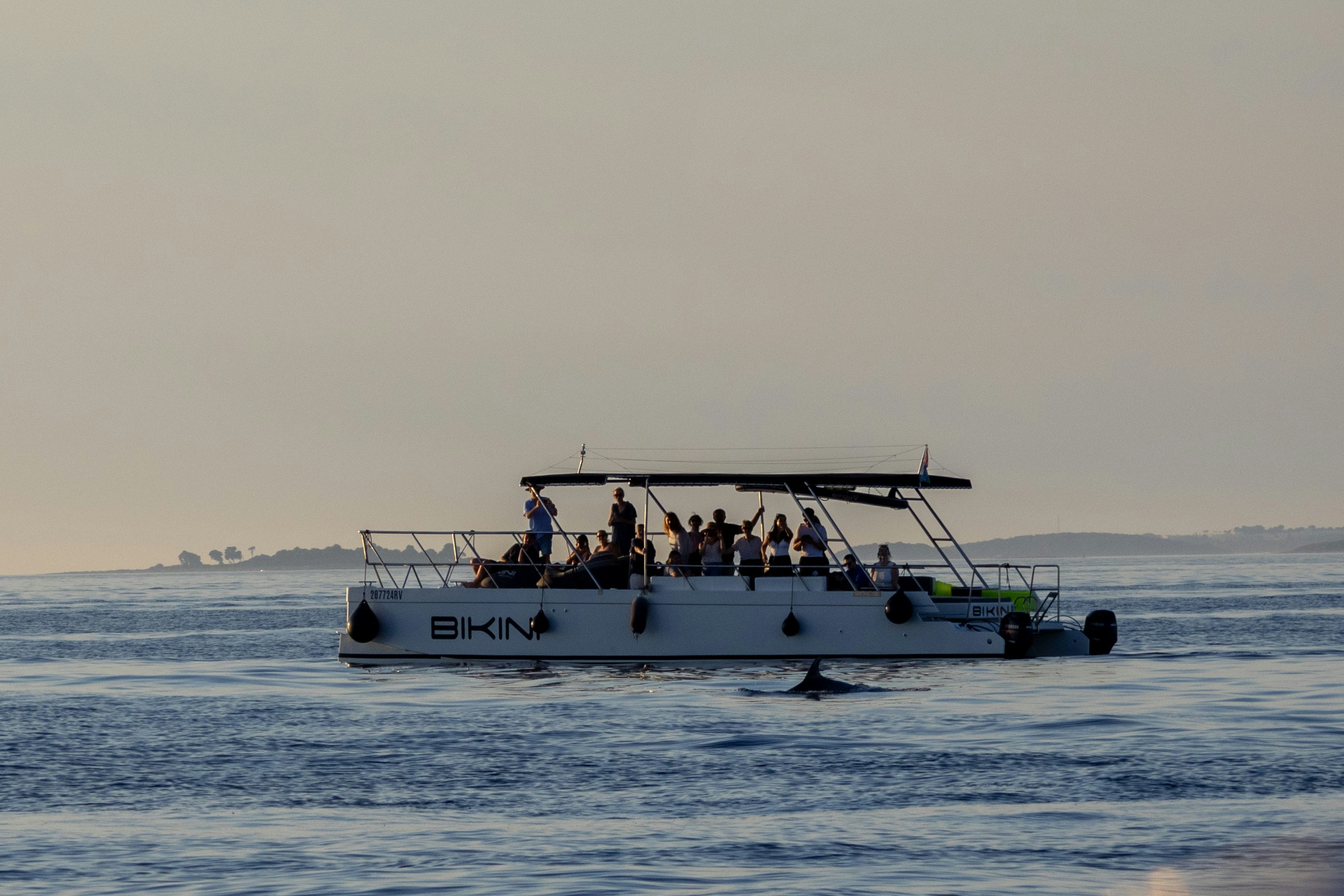 Sunlit Catamaran: A Group Voyage Skimming the Horizon