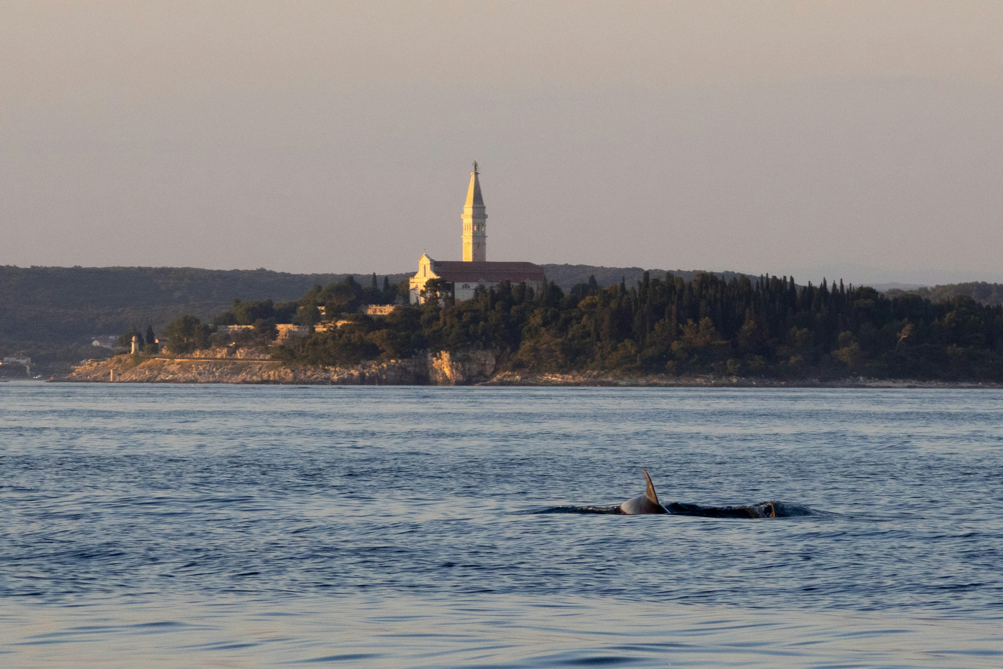 Beacon on the Quiet Ridge: A Seascape with a Distant Lighthouse