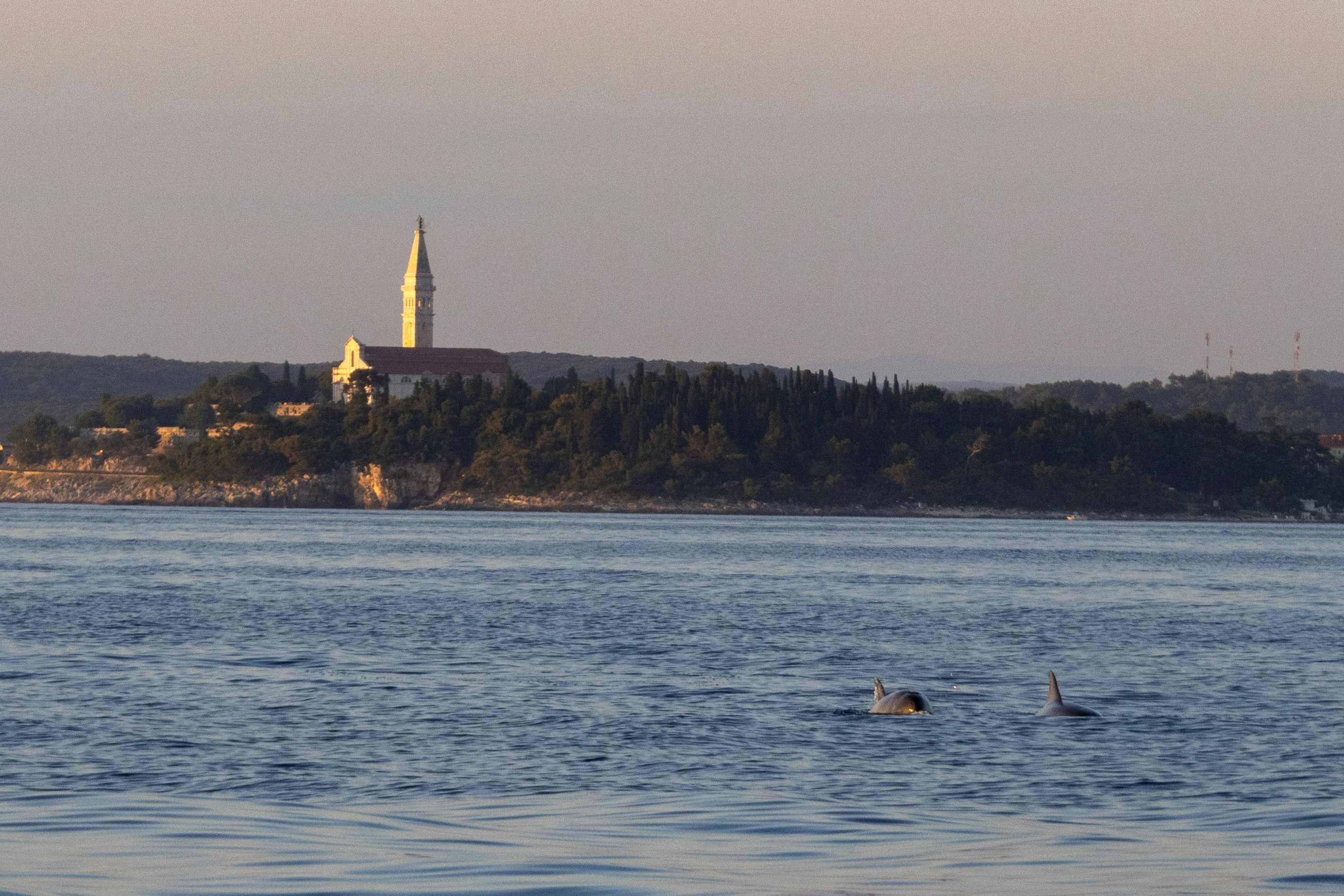 Island Lighthouse at Dusk