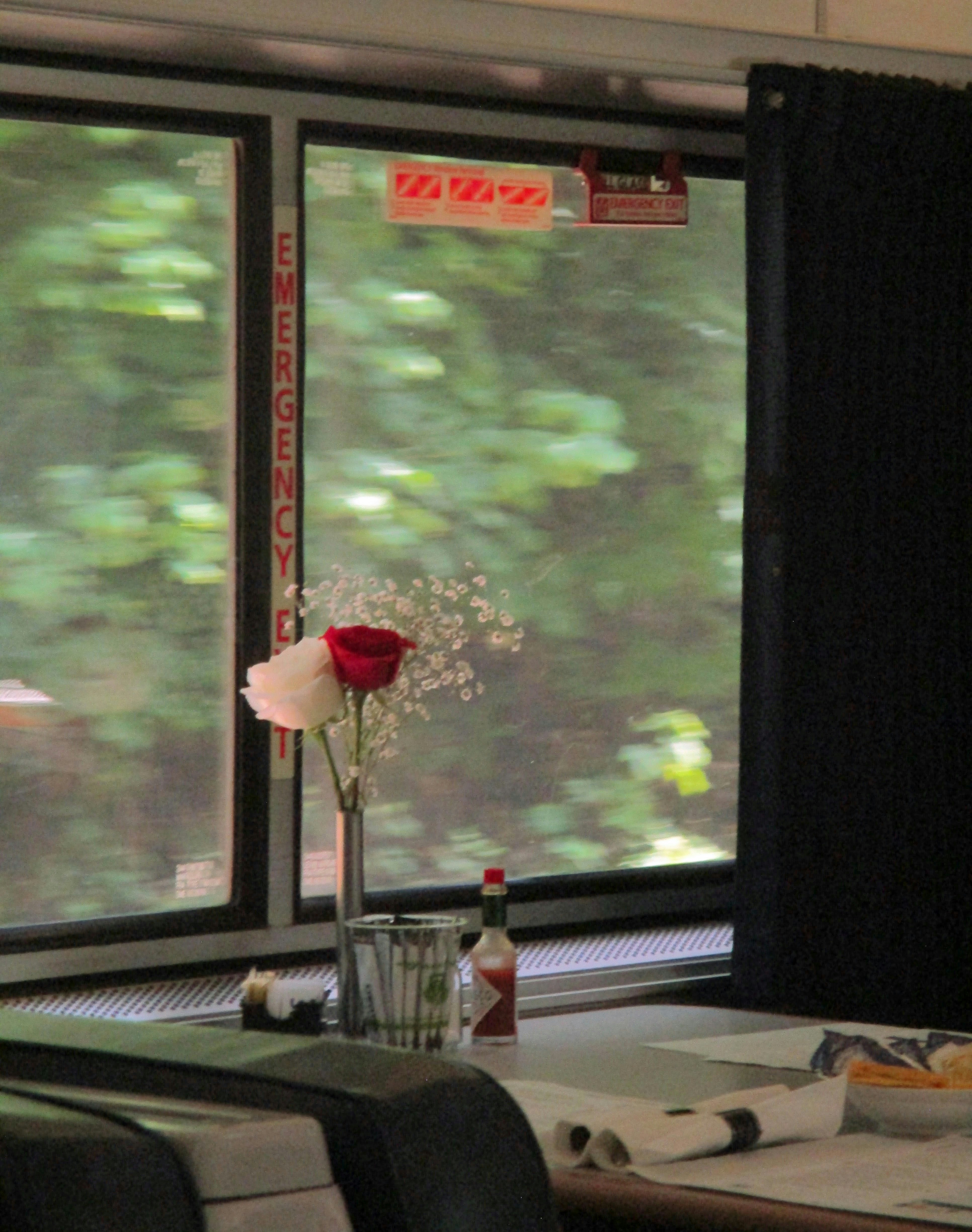 Two Flowers on a Bus Window Sill