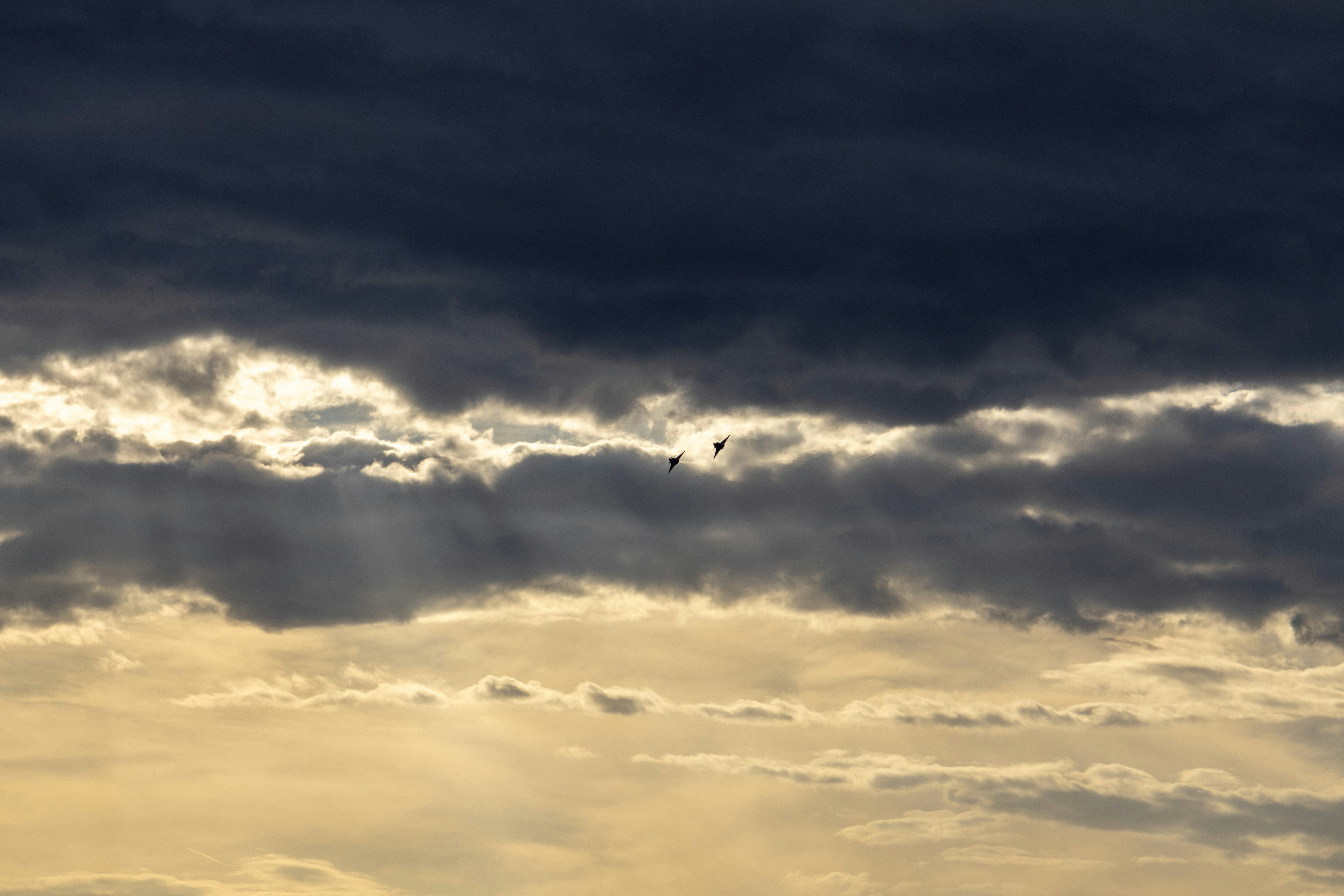 Beacon in the Cloudbreak: A lone bird under dramatic strata