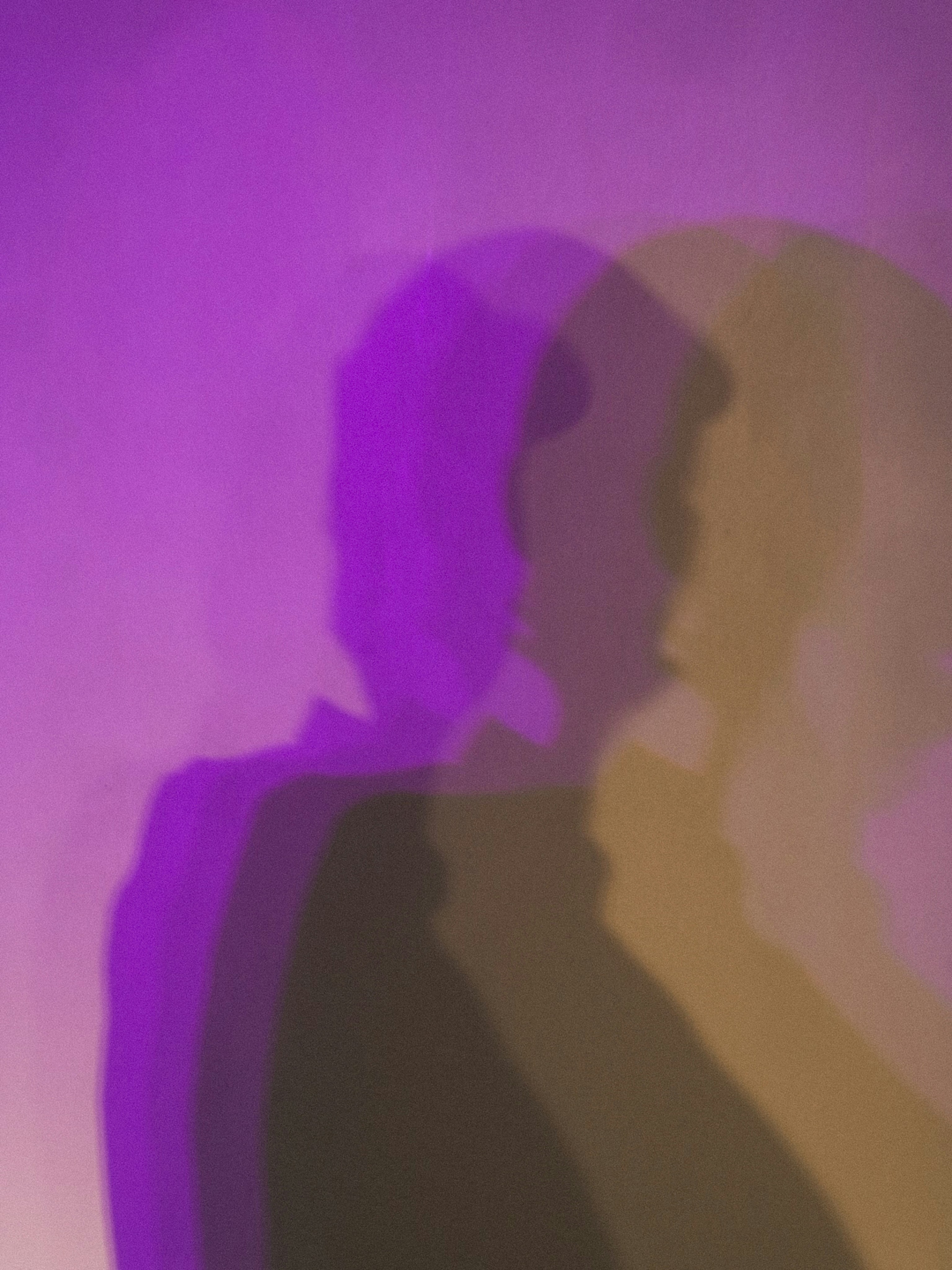 Shadows in Violet Echoes