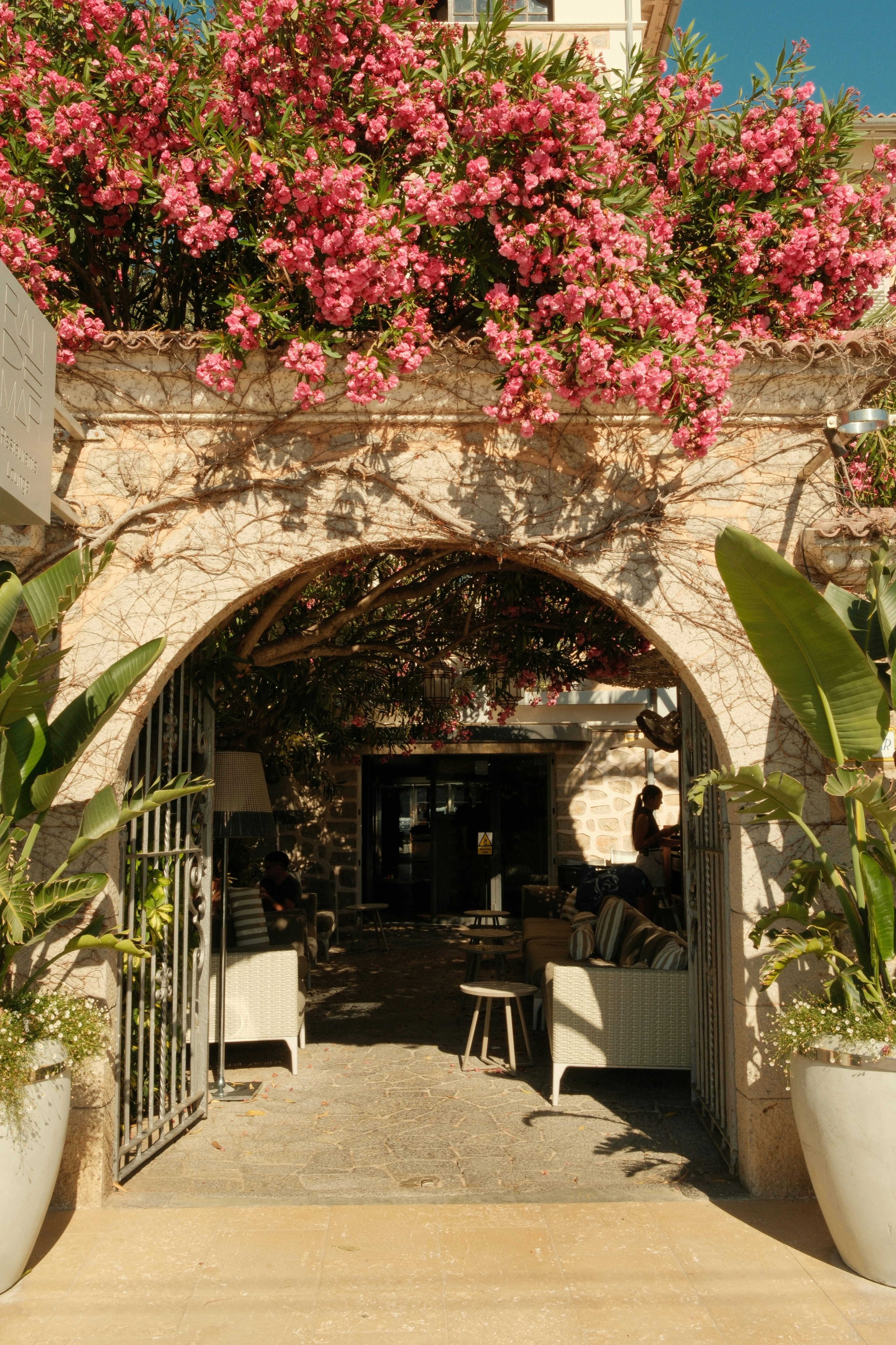 Arched courtyard in bloom: pink blossoms framing a sunlit seating nook