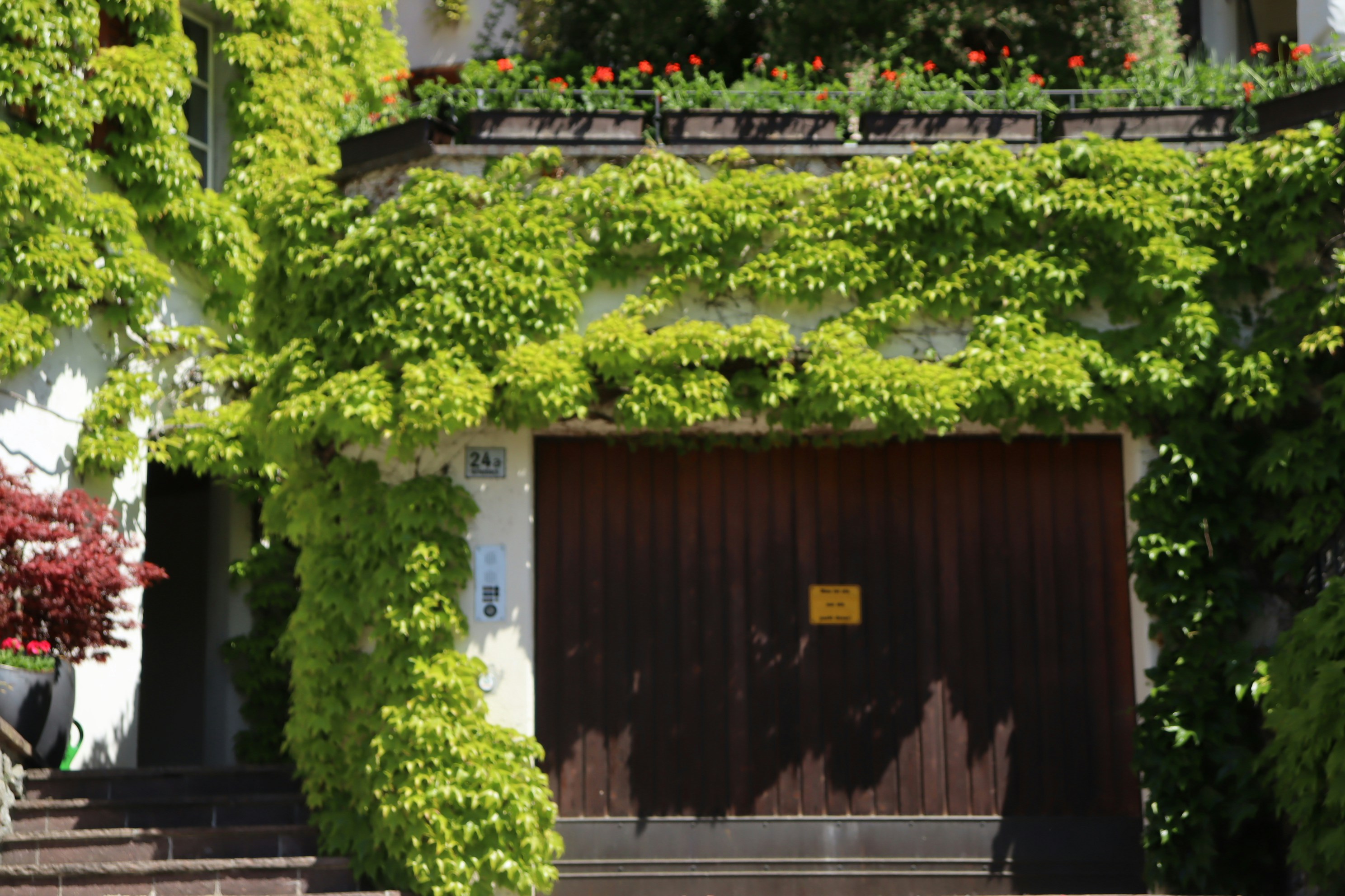 Greenery Cloaked Garage: A Quiet Urban Entrance