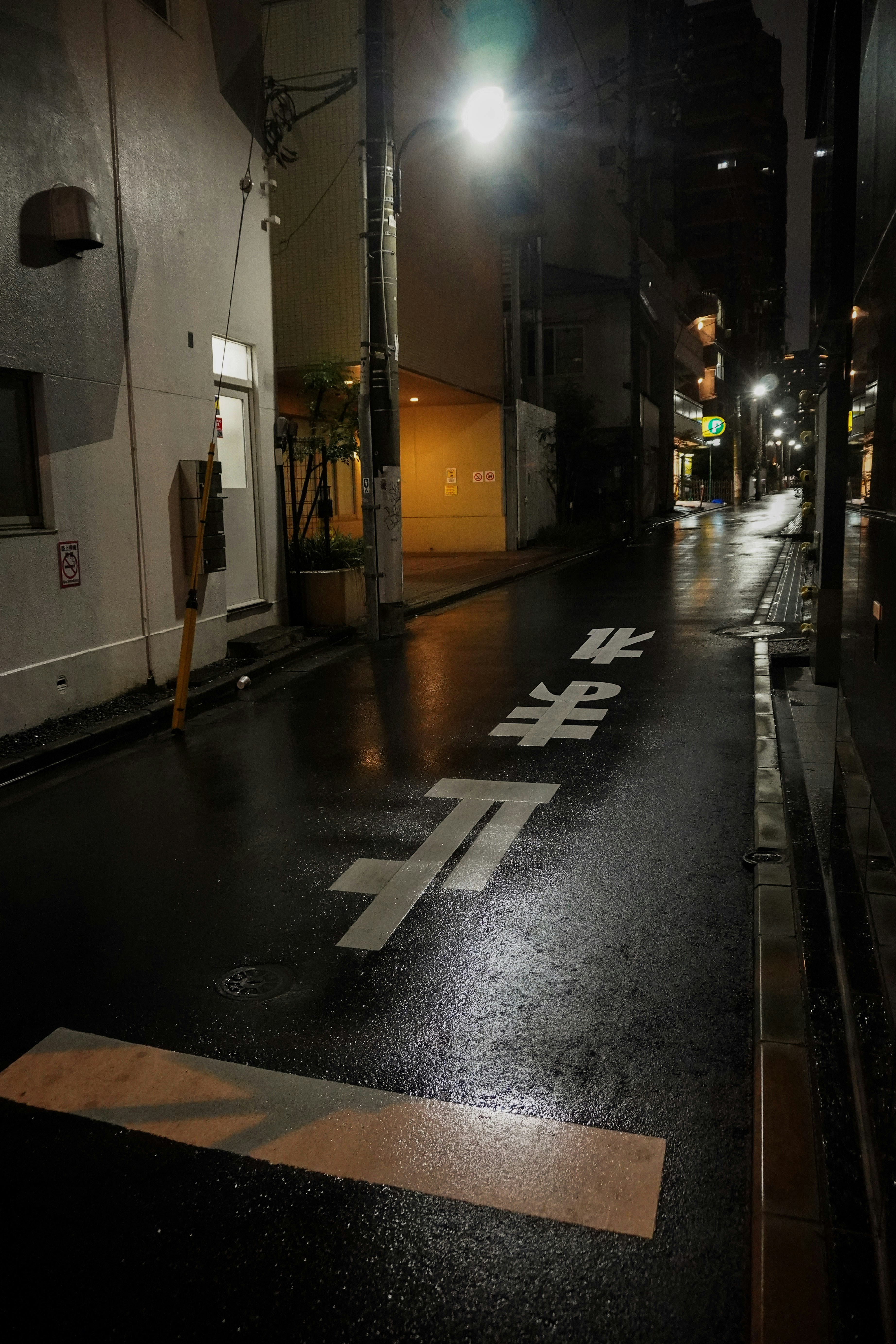 Rain-Slick Neon Alley: Night Ride Through a Quiet Japanese Street