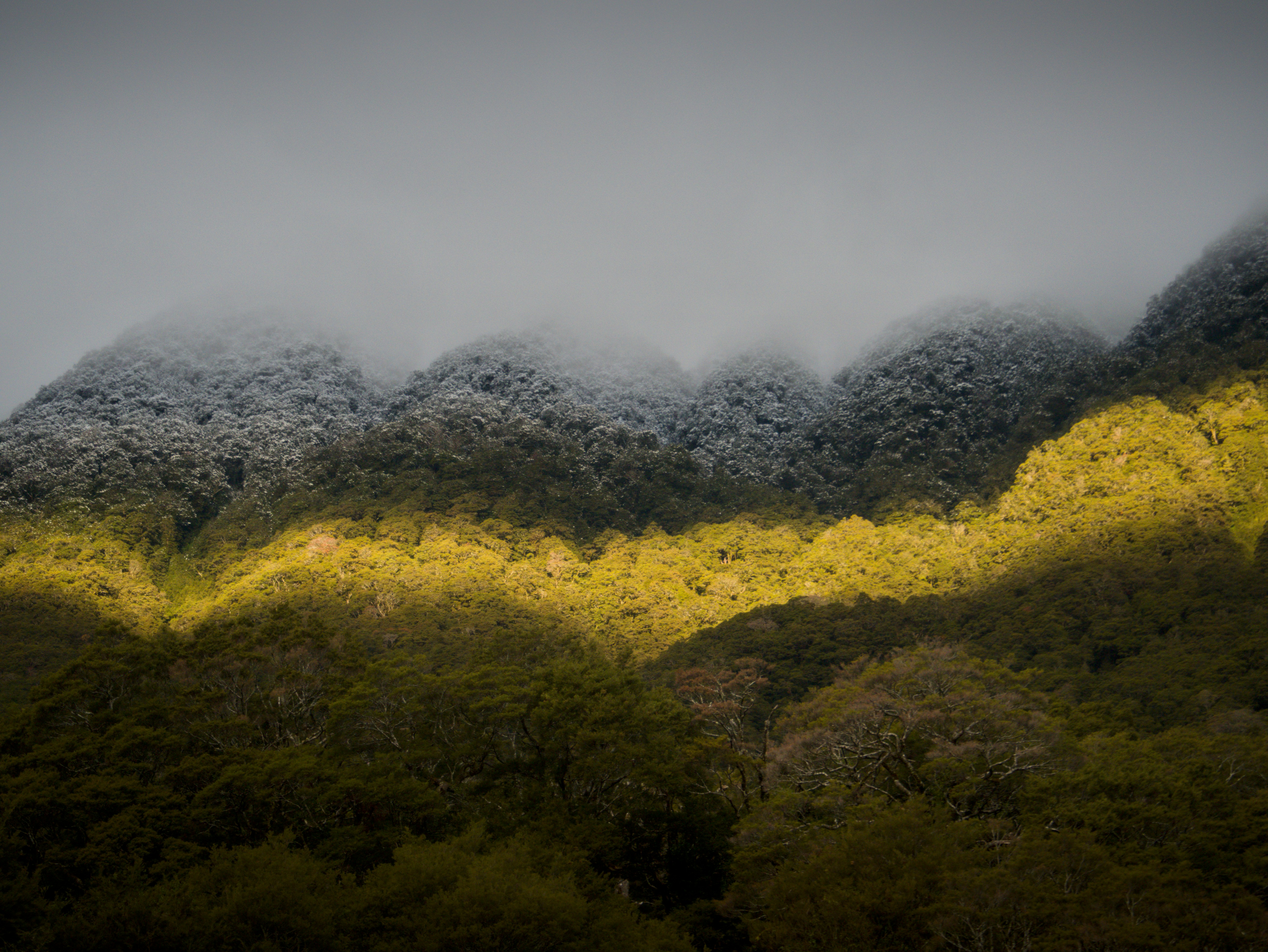 Golden Slope Beneath a Misty Crown