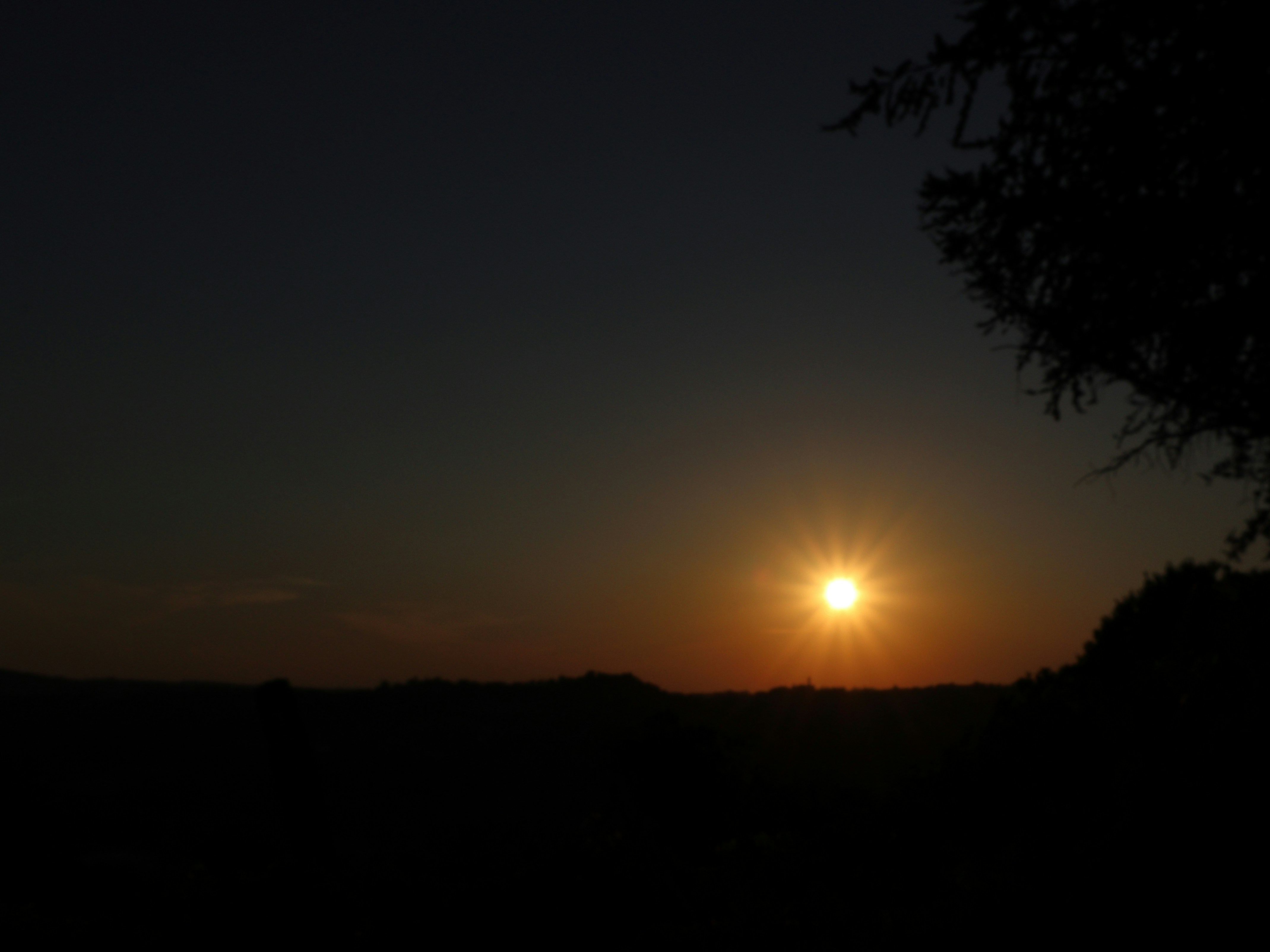 Low Horizon Sun: Quiet Horizon Glow on a Dusk Plain