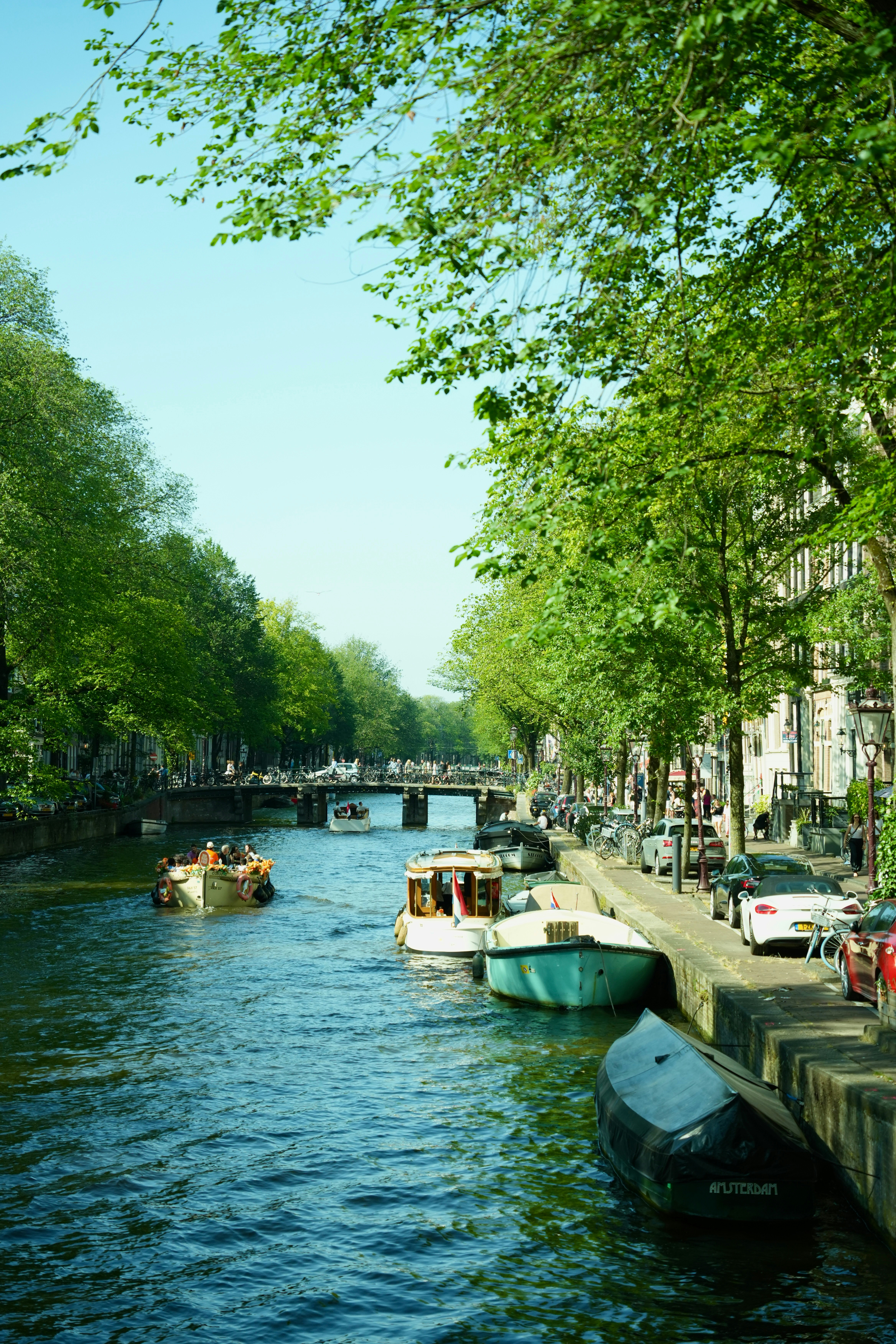 Canal Keeps: Boats, Bridge, and Green Canopy in Amsterdam