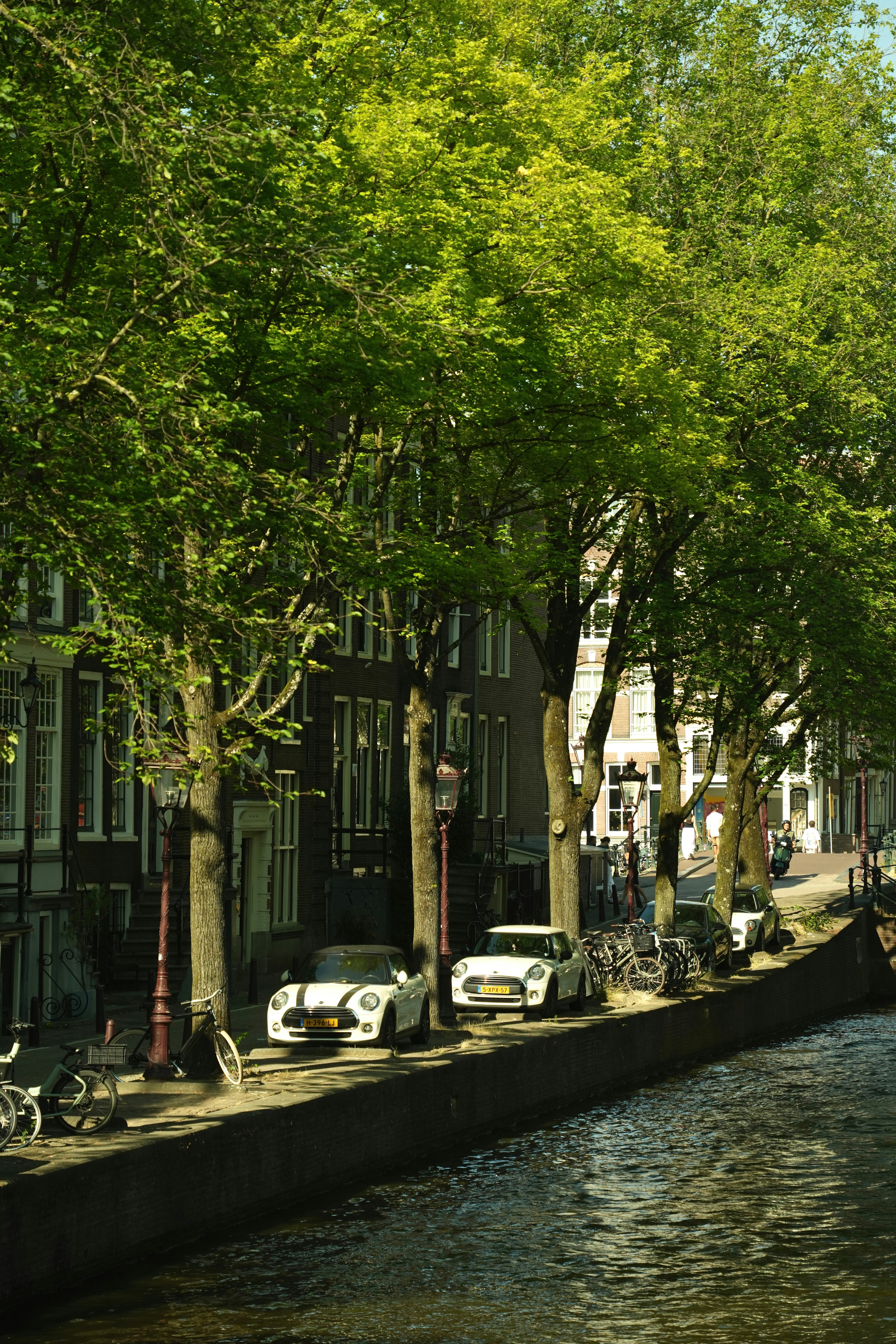 Canal-side Shade: Trees, Cars and a Quiet Amsterdam Moment