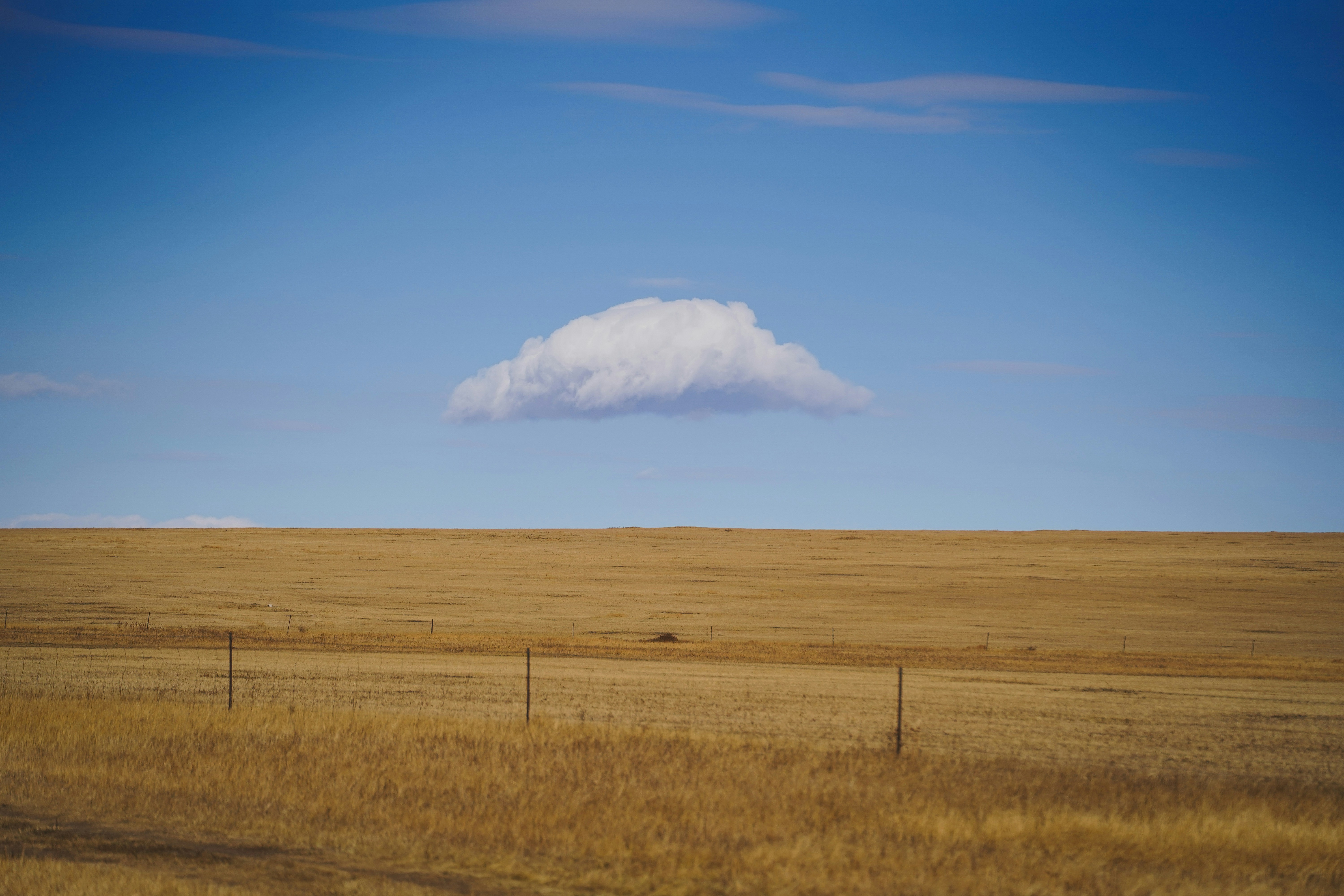 Open Prairie Under a Soft-Clouded Sky