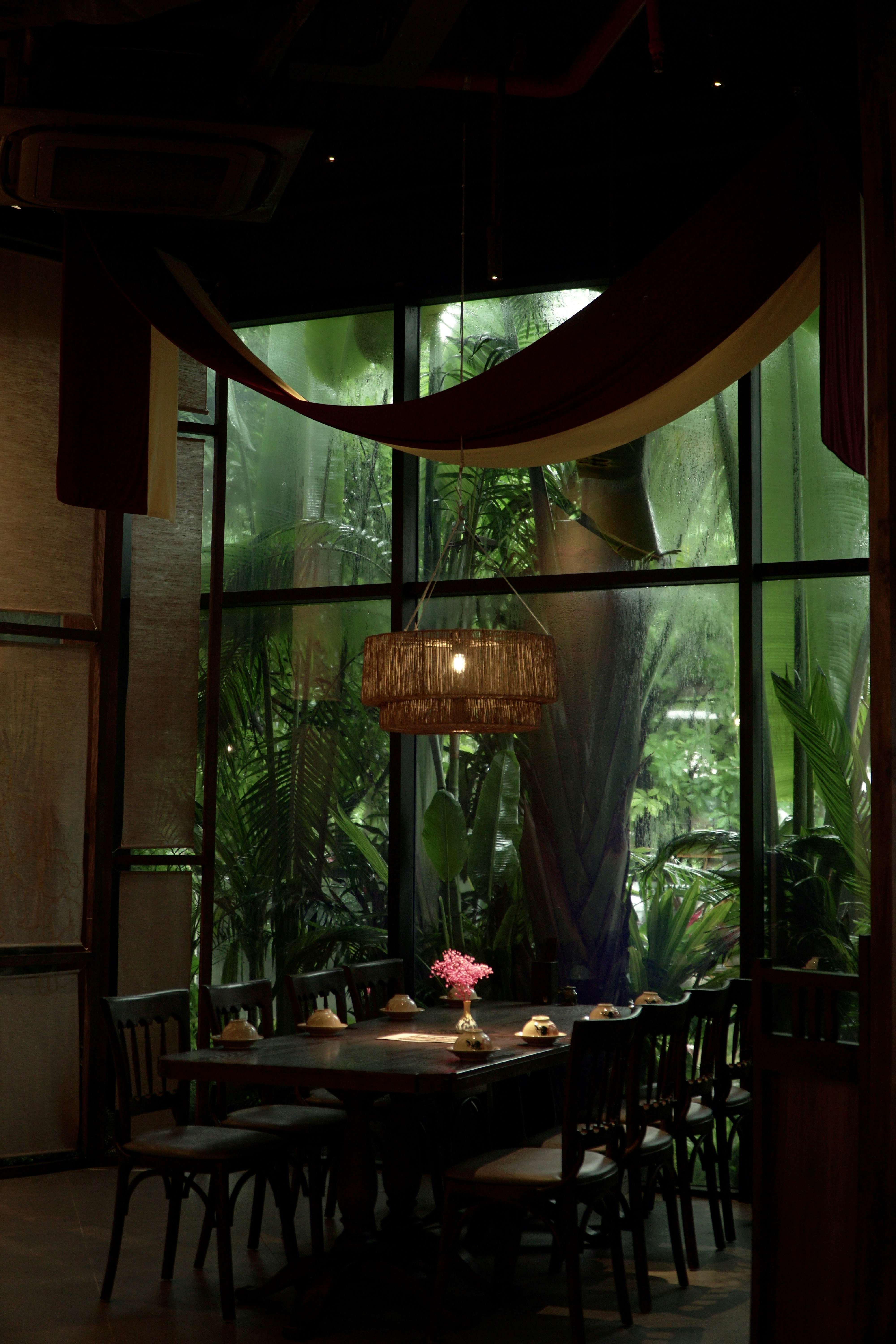 Dim Lighting, Lively Table: A Cozy Jungle Dining Scene