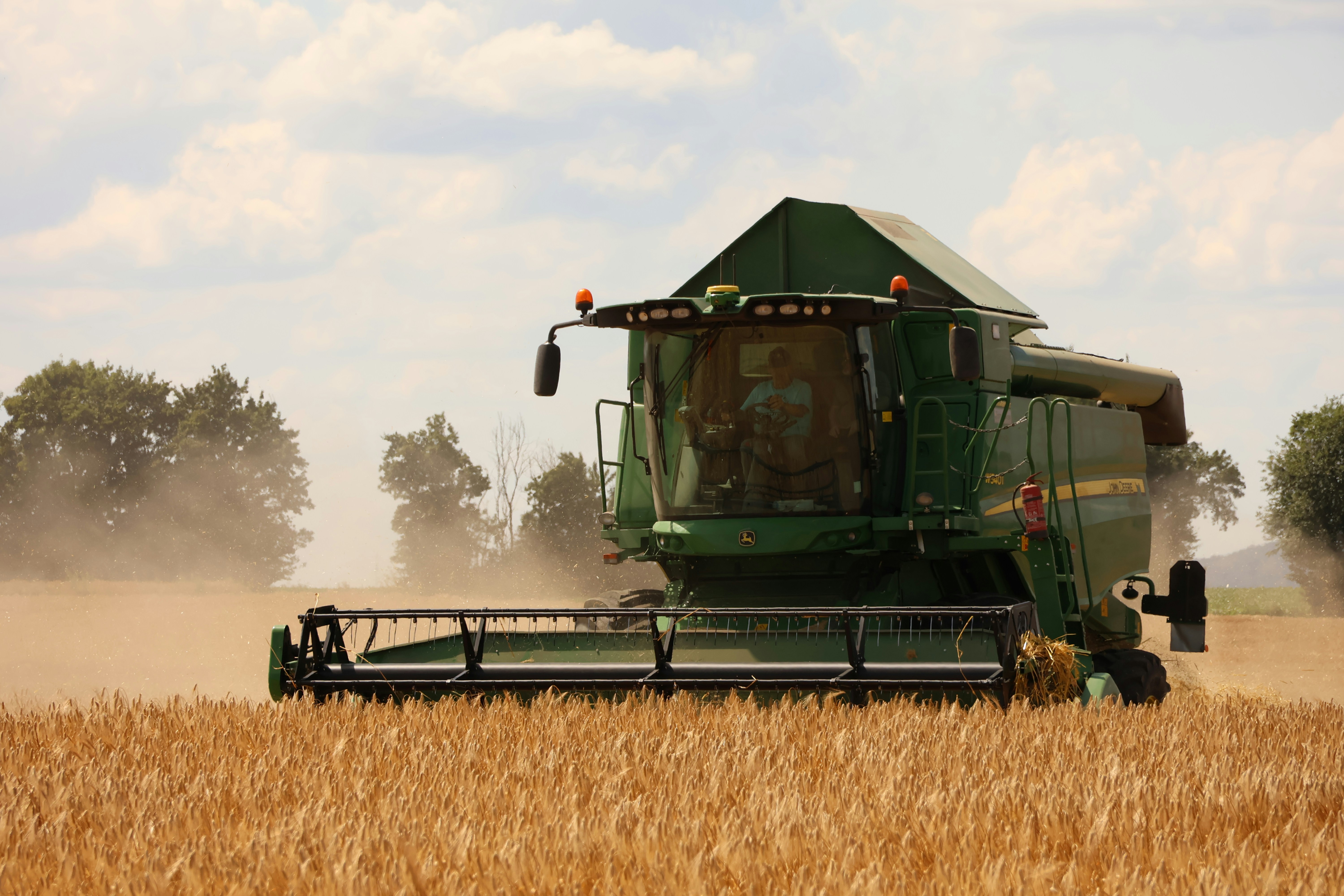 Green Harvest: The Grain Harvester Dives Through a Dusty Field