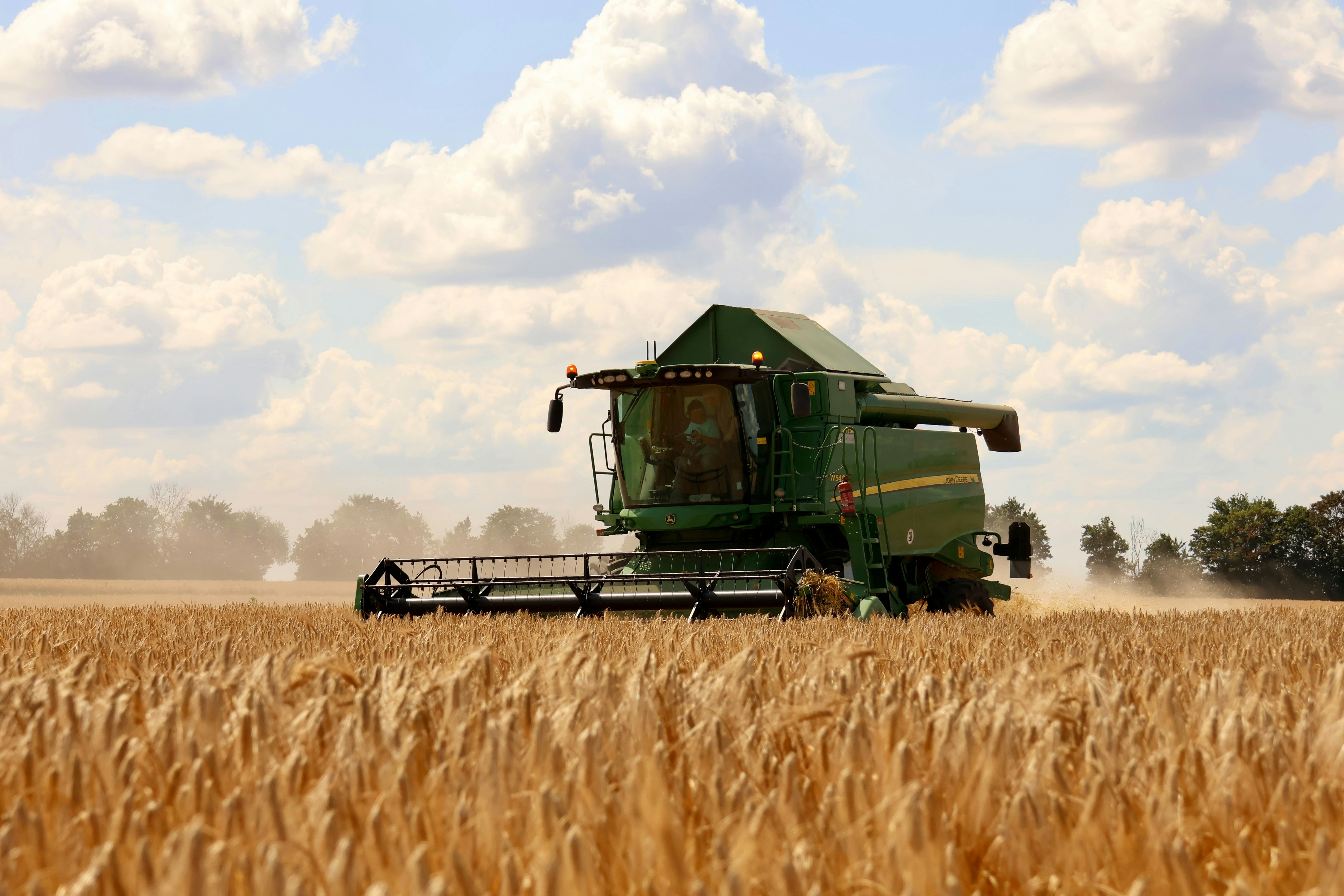 Golden Harvester in a Sea of Wheat