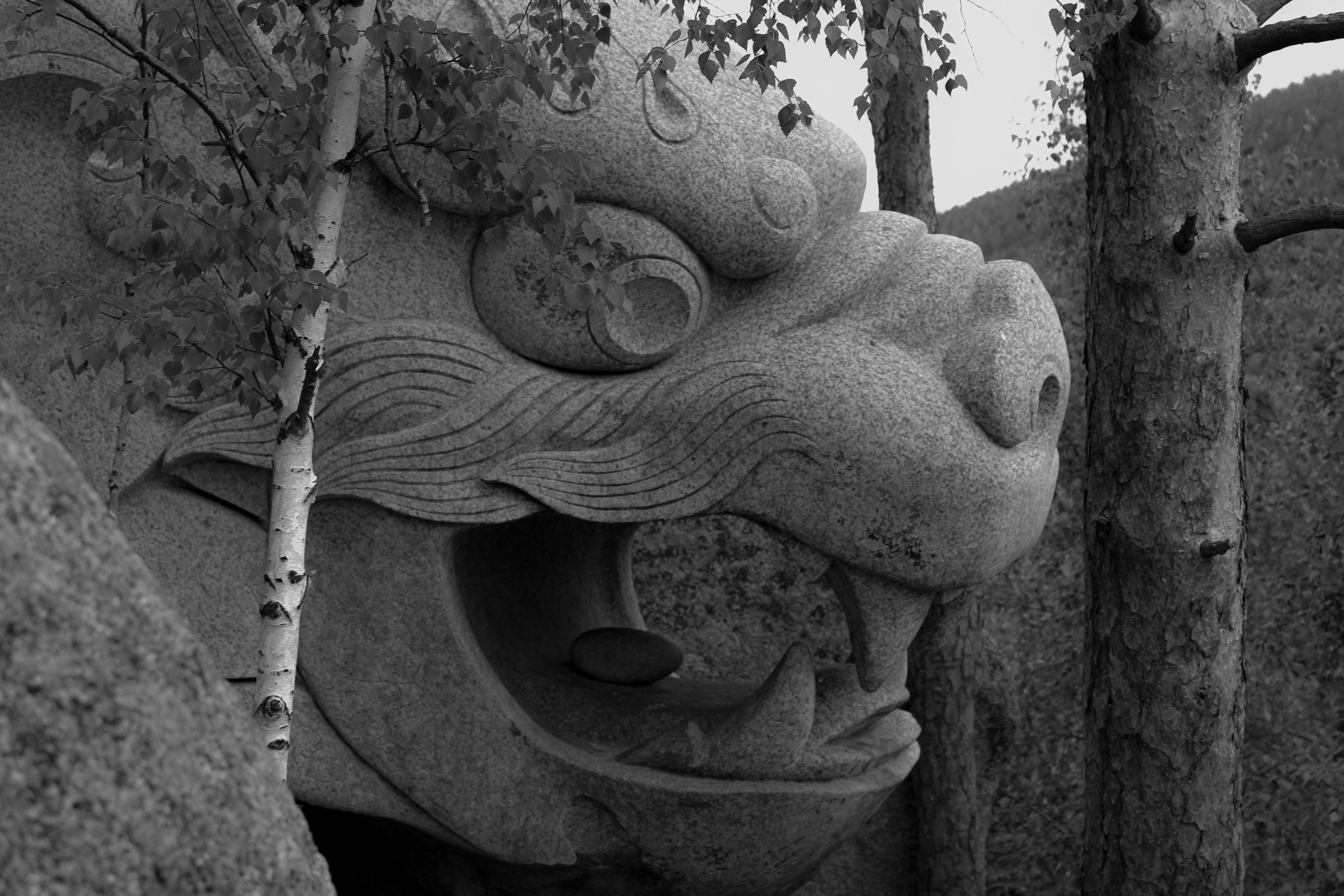 Stone Dragon Gaze: A Quiet Carved Sentinel Between Trees