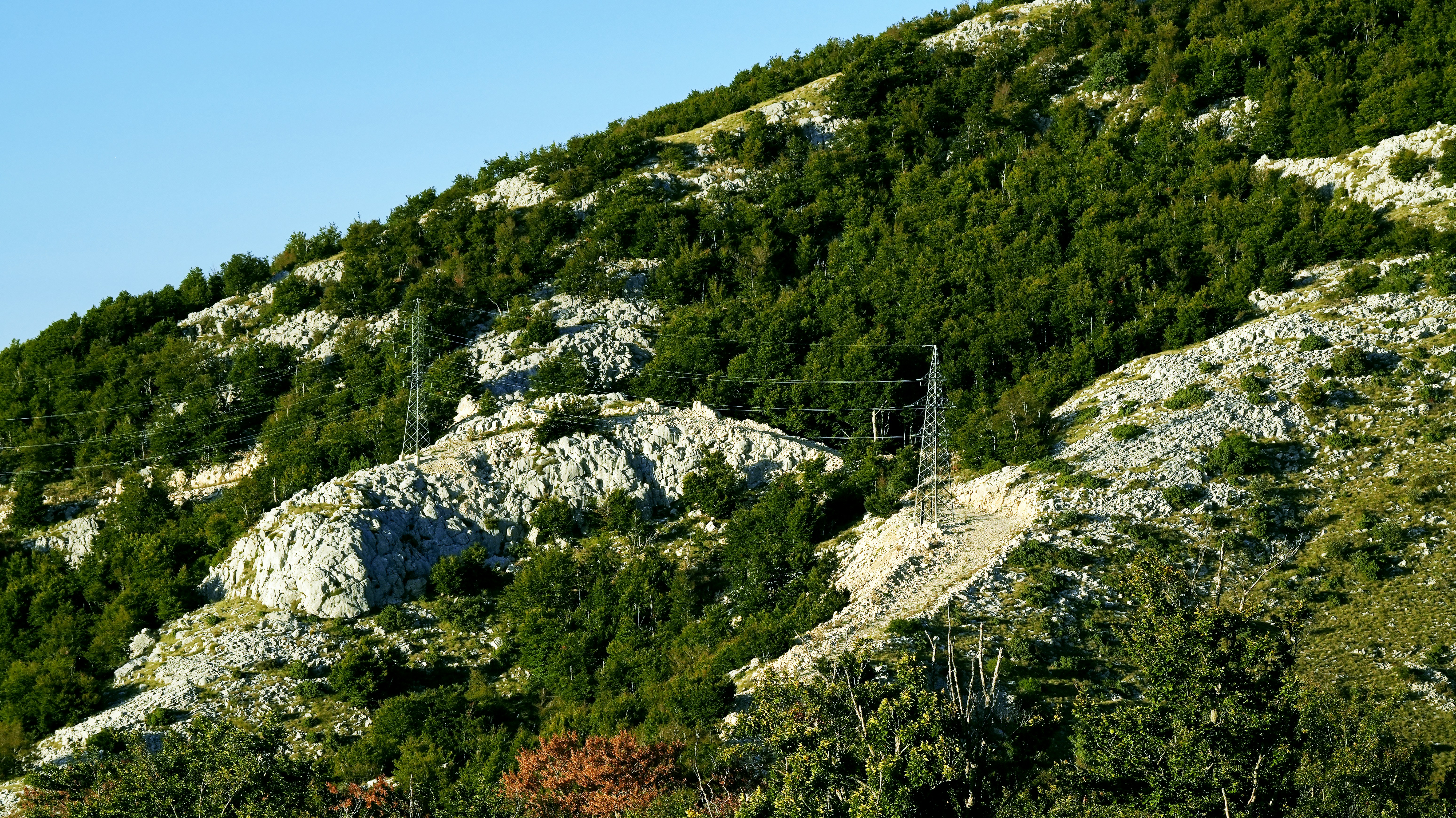 Power Lines Across a Rocky Pine Ridge