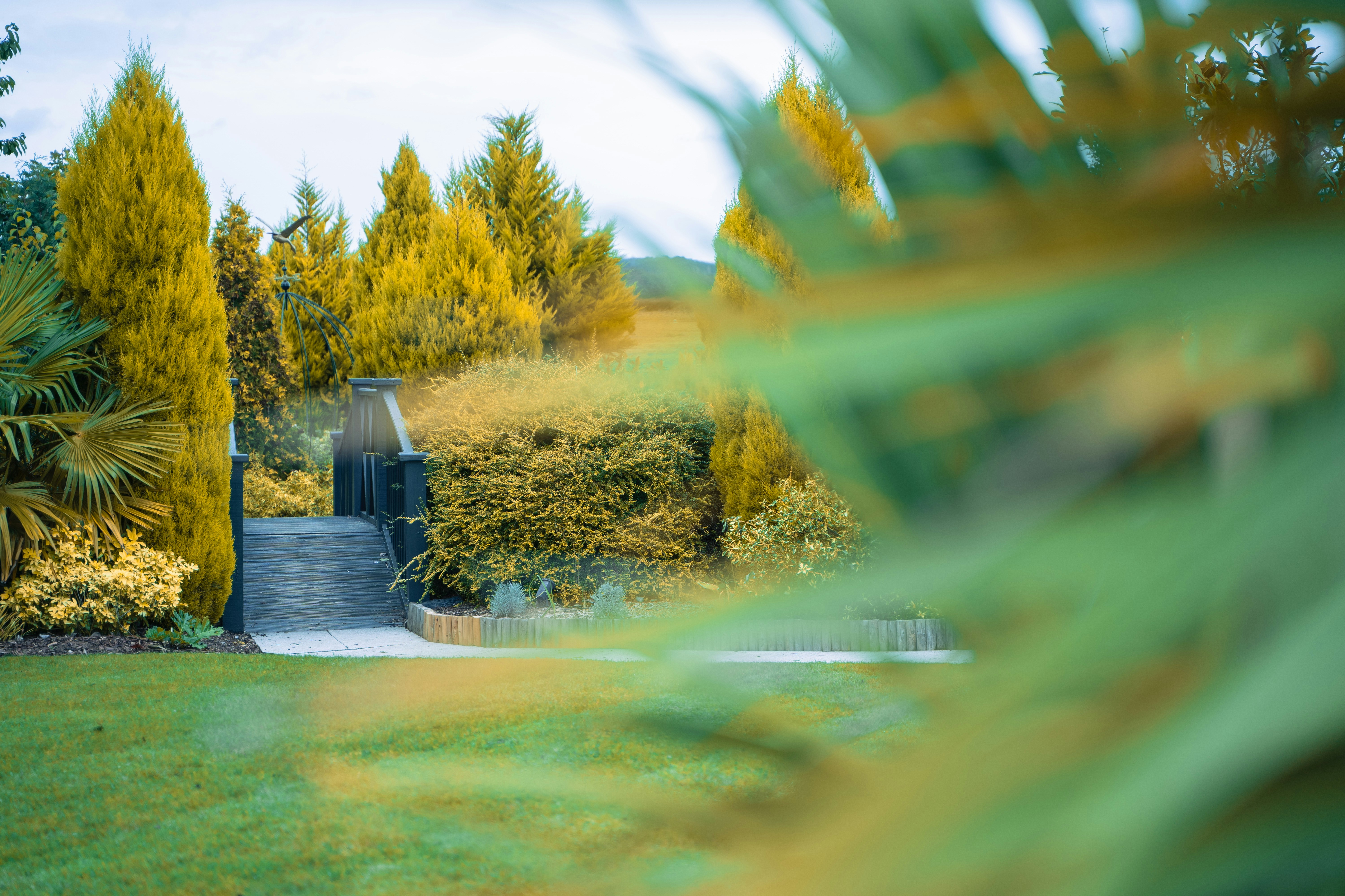 Hidden Pathway Through a Quiet Garden