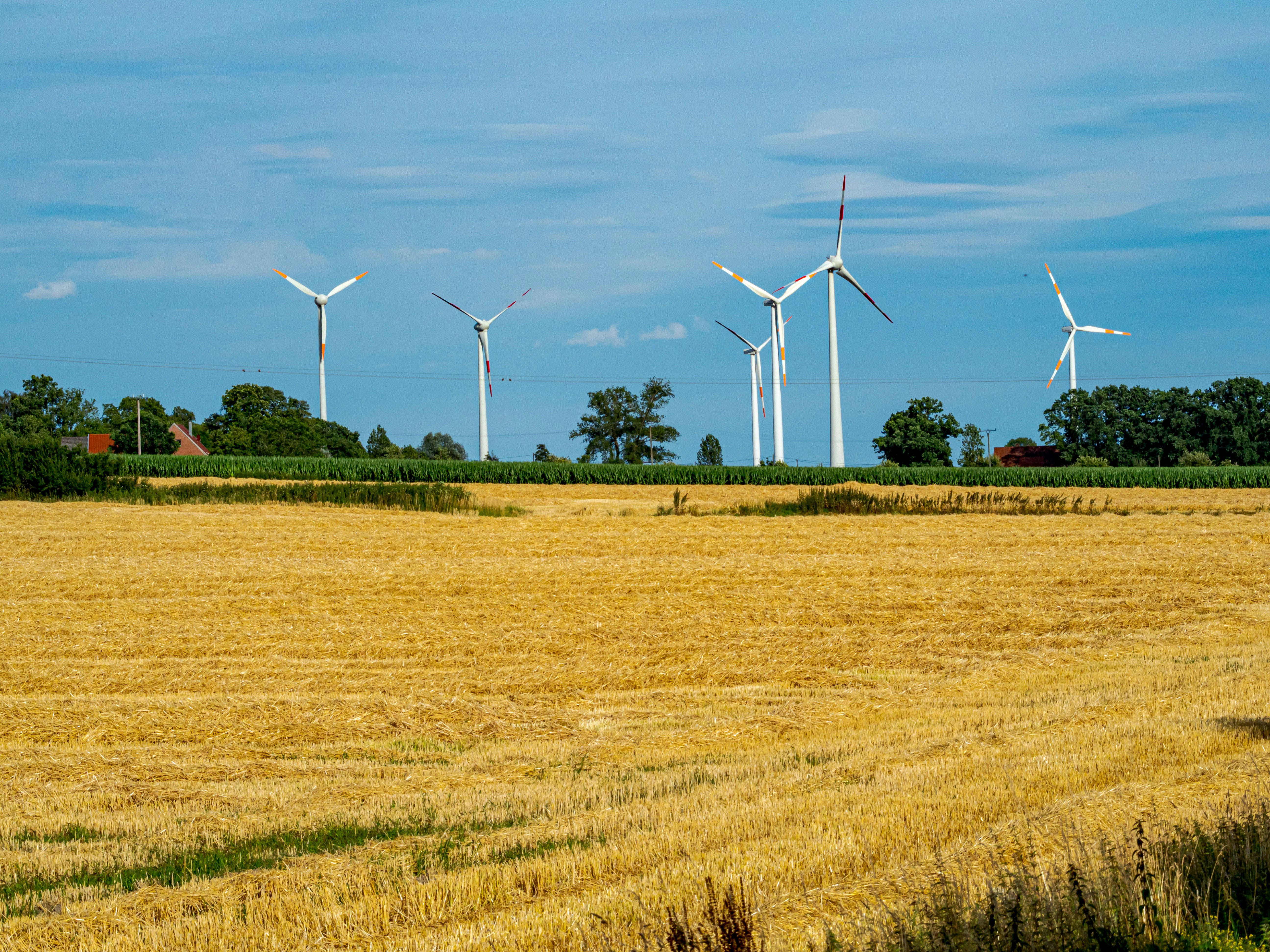 Golden harvested field stretches across the frame with a row of wind turbines on the horizon under a blue sky.