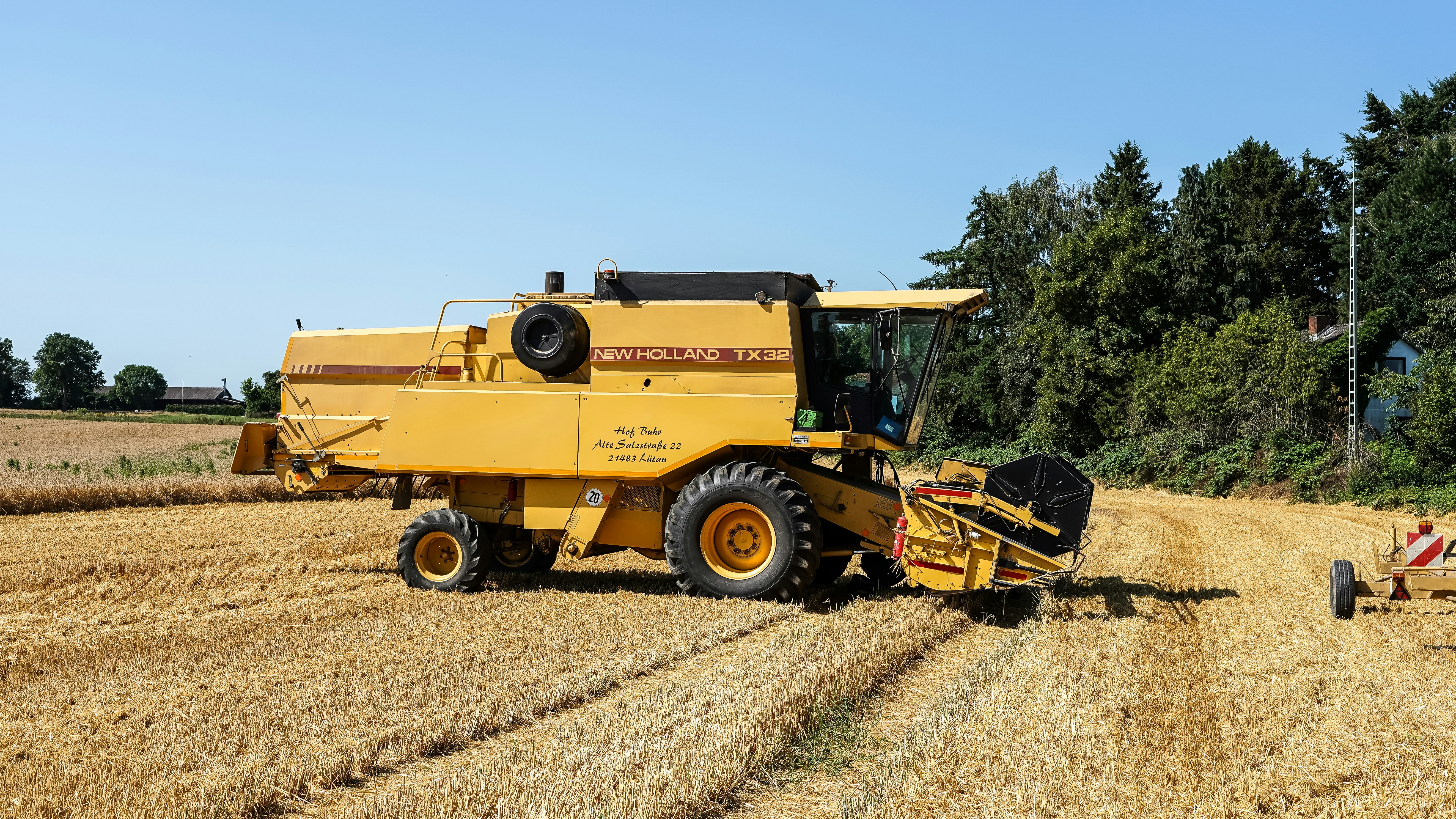 Golden Harvester in a Quiet Field