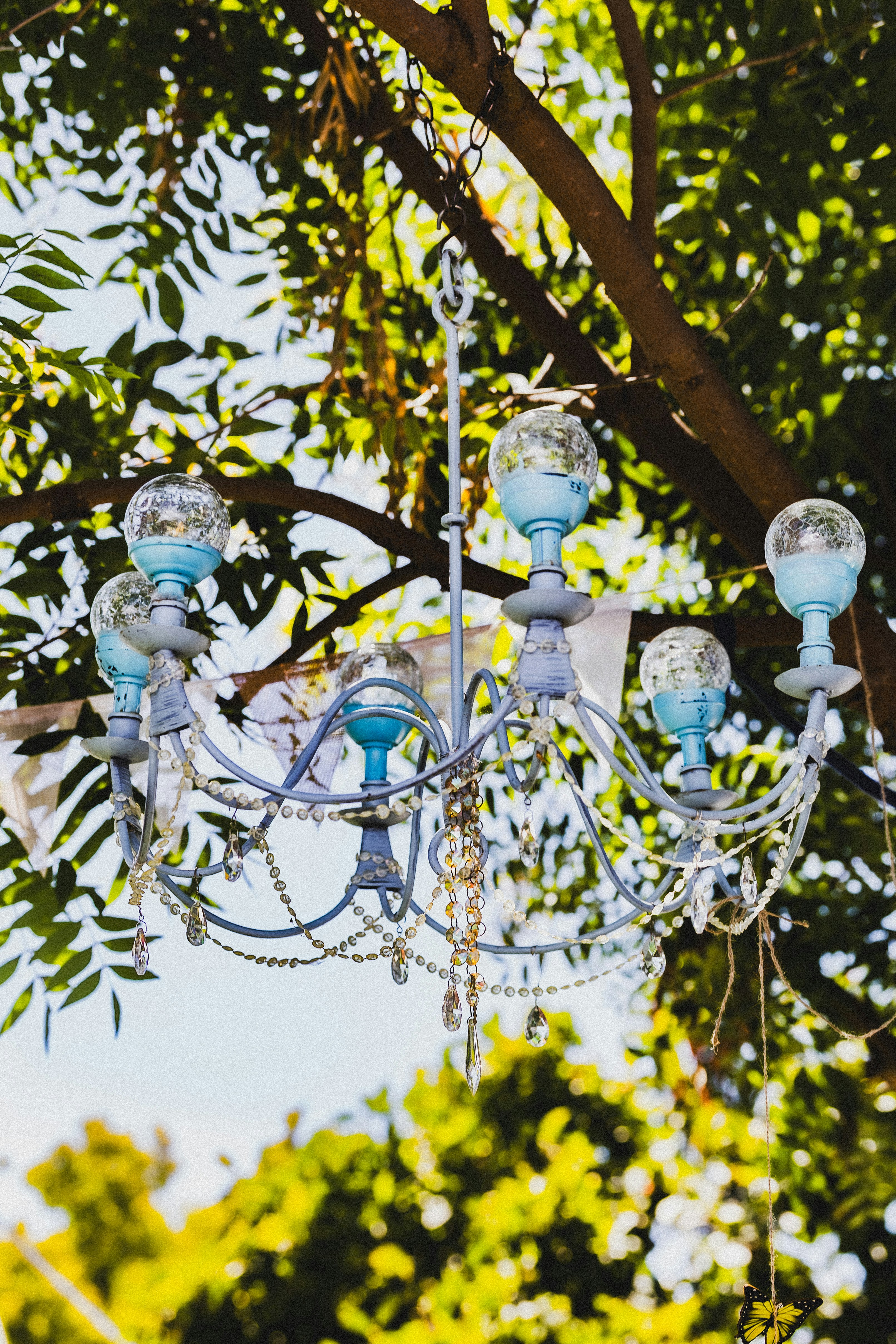 Crystal Chandeliers in the Sunlit Foliage