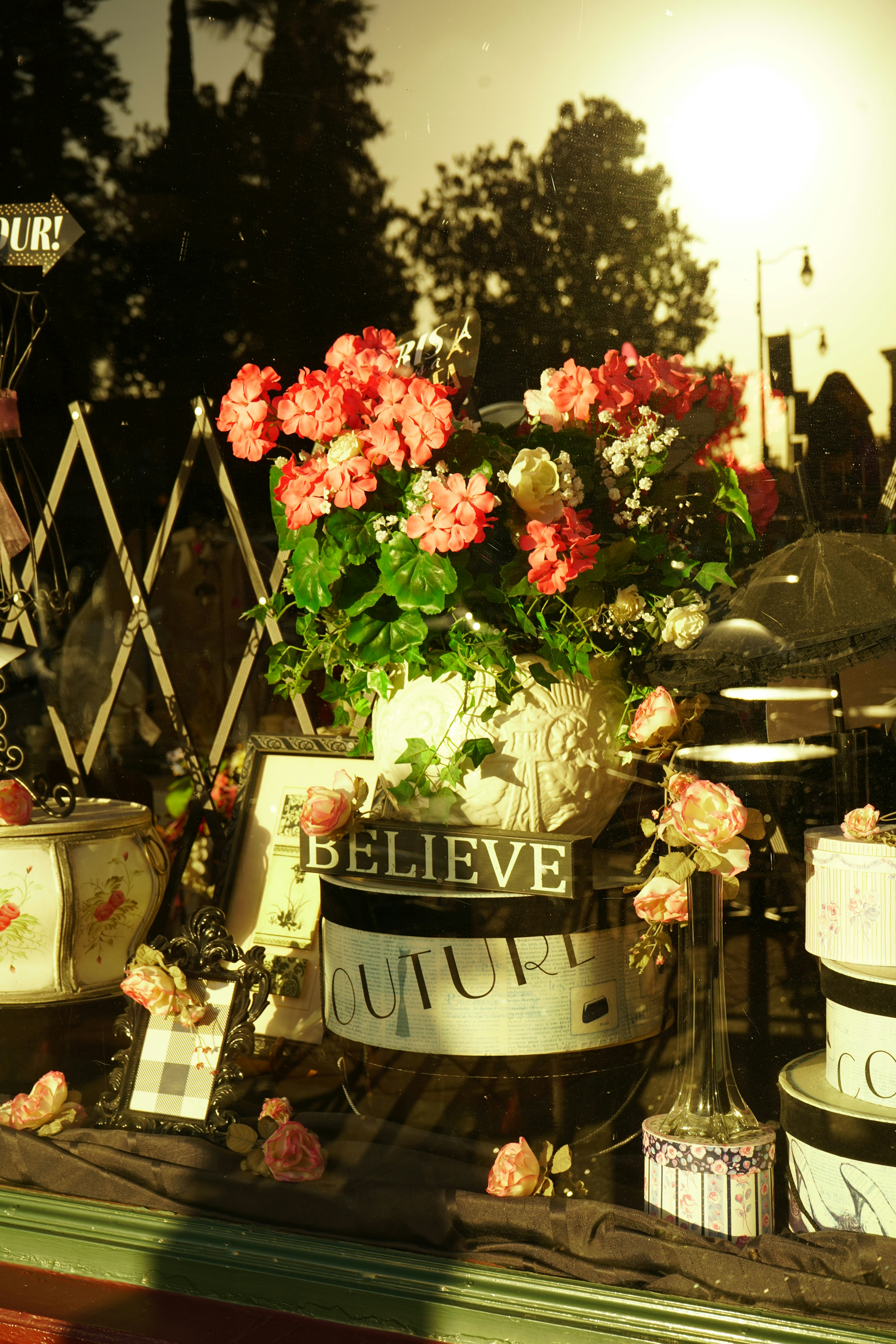 Vibrant Floral Still Life in a Shop Window with Warm Sunset Light