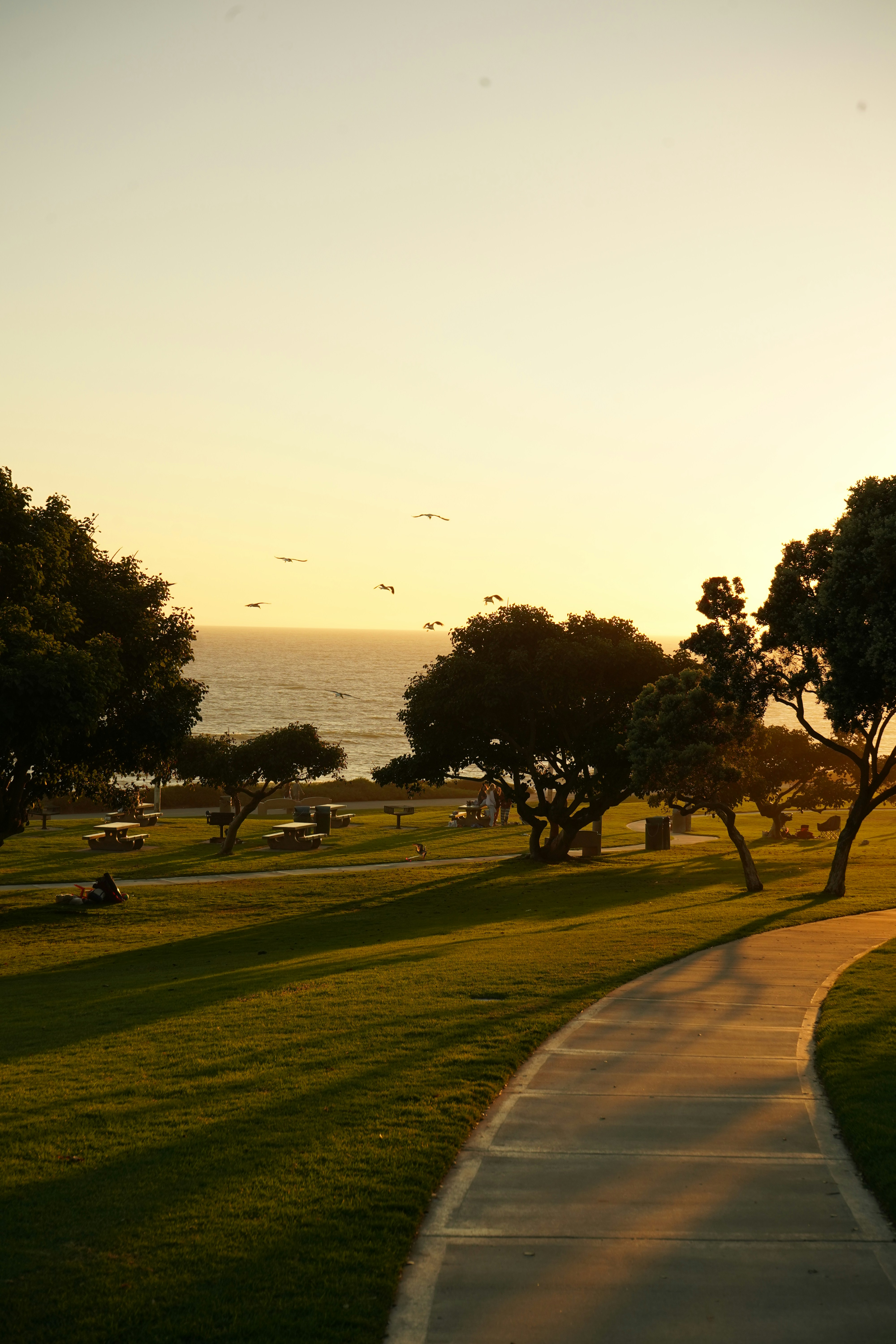 Golden Hour Stroll by the Sea