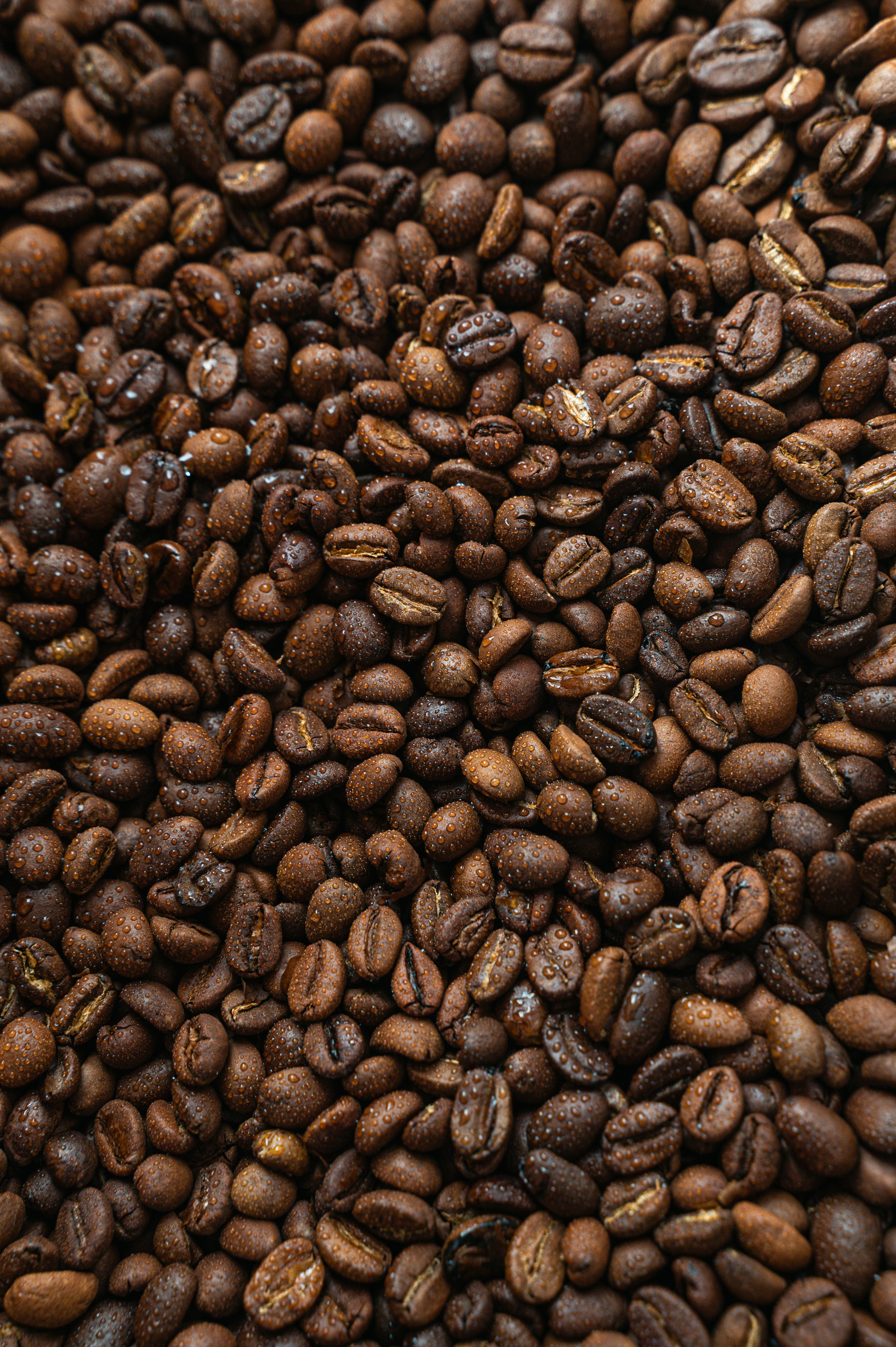 A close-up of glossy roasted coffee beans filling the frame, conveying rich texture and aroma. This is a photographic still of ground-level beans, not a logo or illustration.