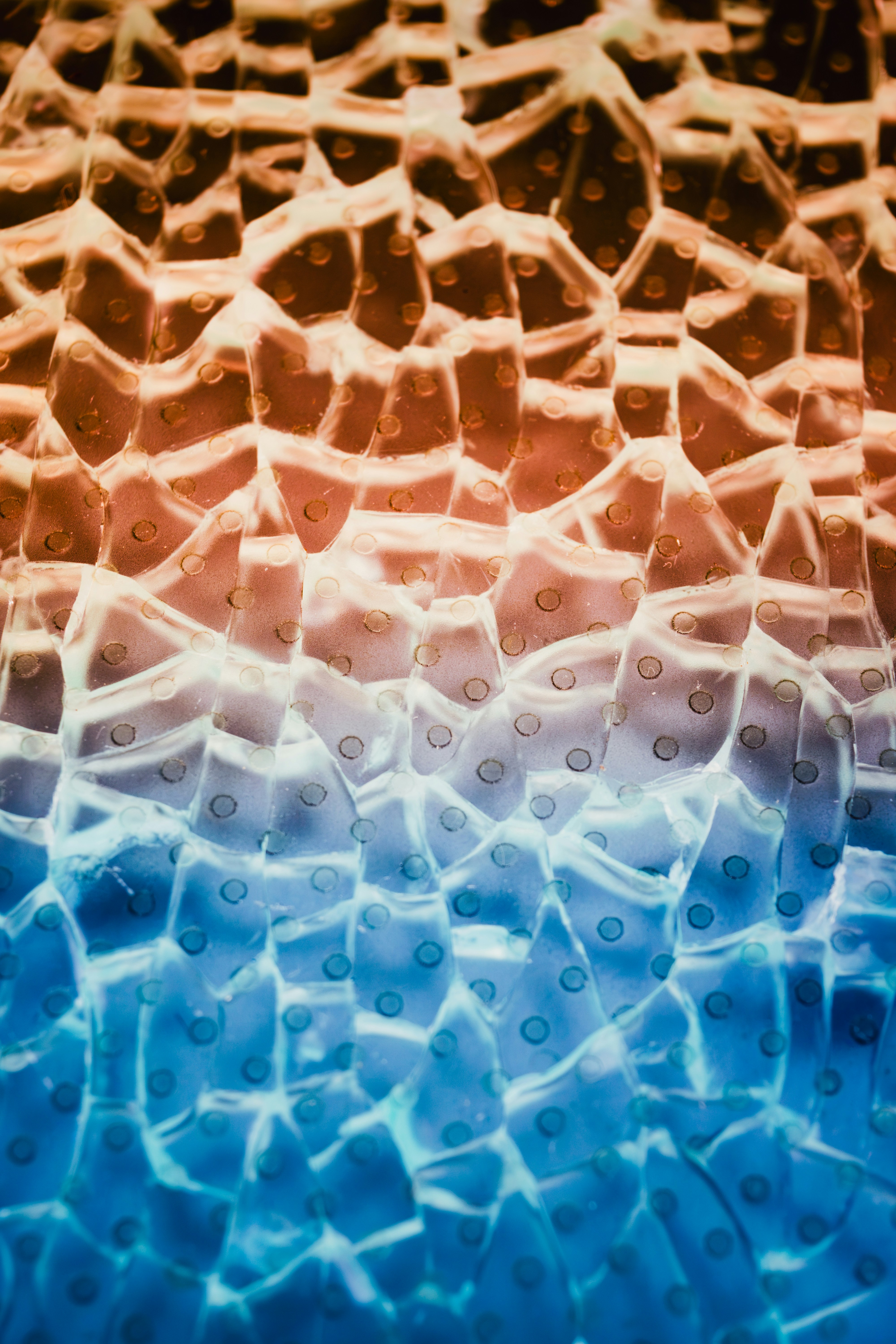 Prismatic Mesh: aclose-up of layered translucent bubbles in warm-to-cool gradient