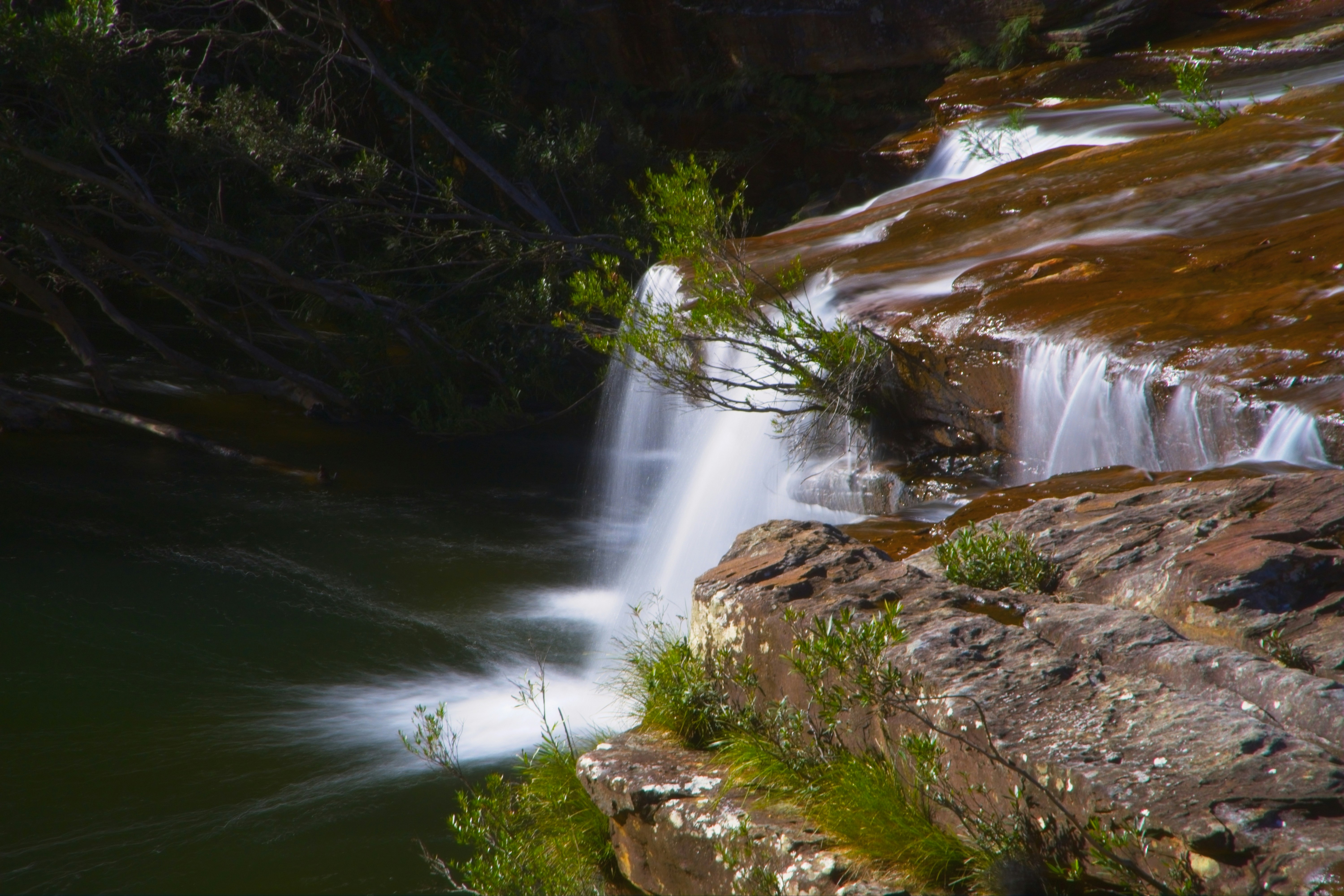 Whispering Cascade: Mossy ledges and a veiled waterfall