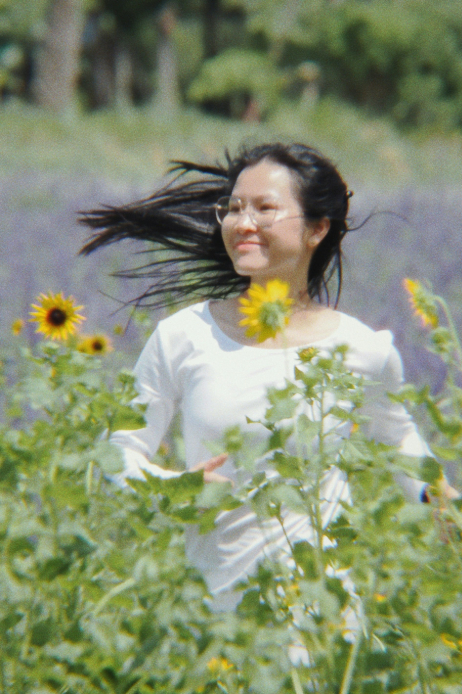 Sunlit Field Dance: A Portrait in Bloom