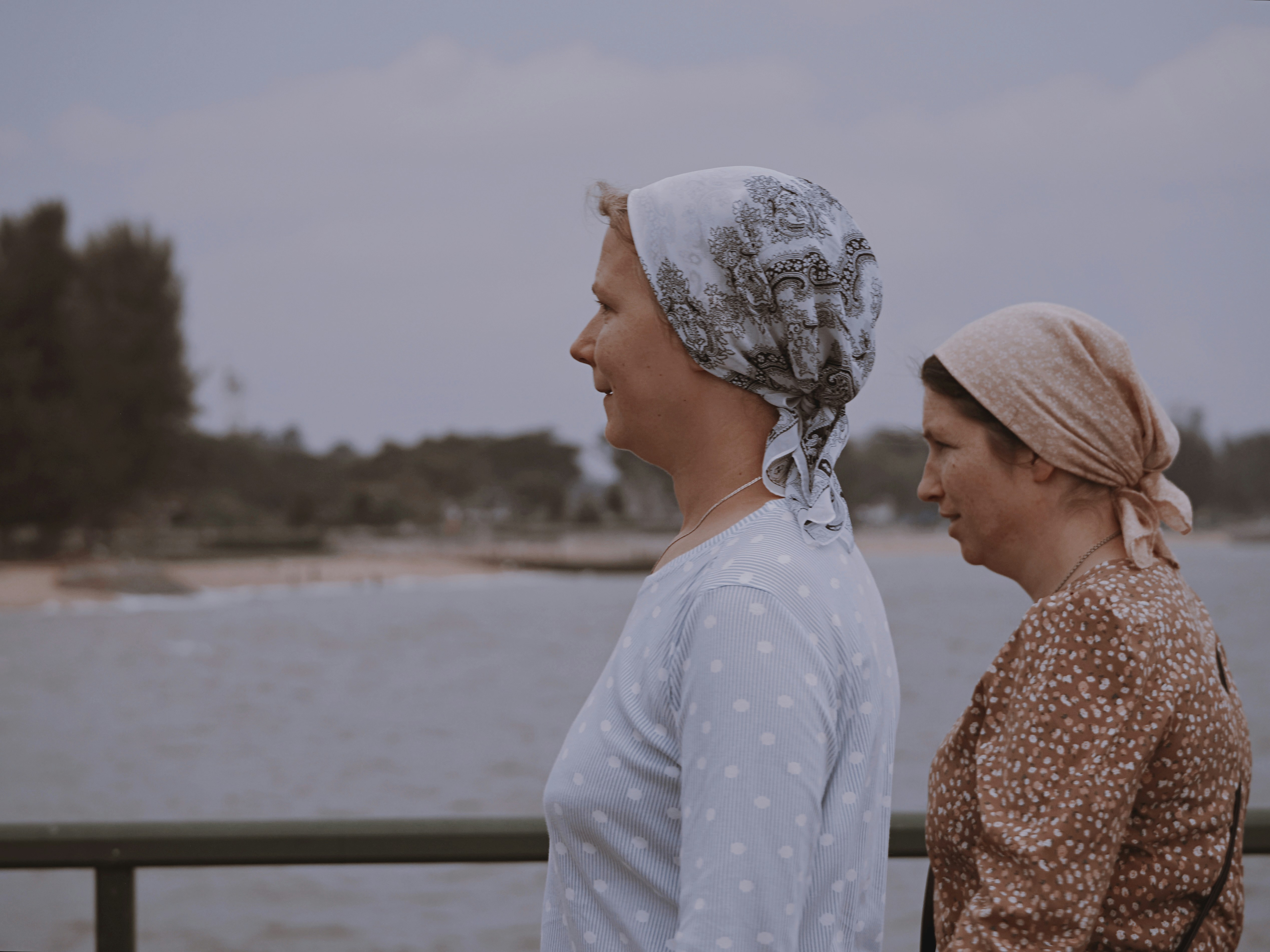 Quiet Companions on a Seaside Walk