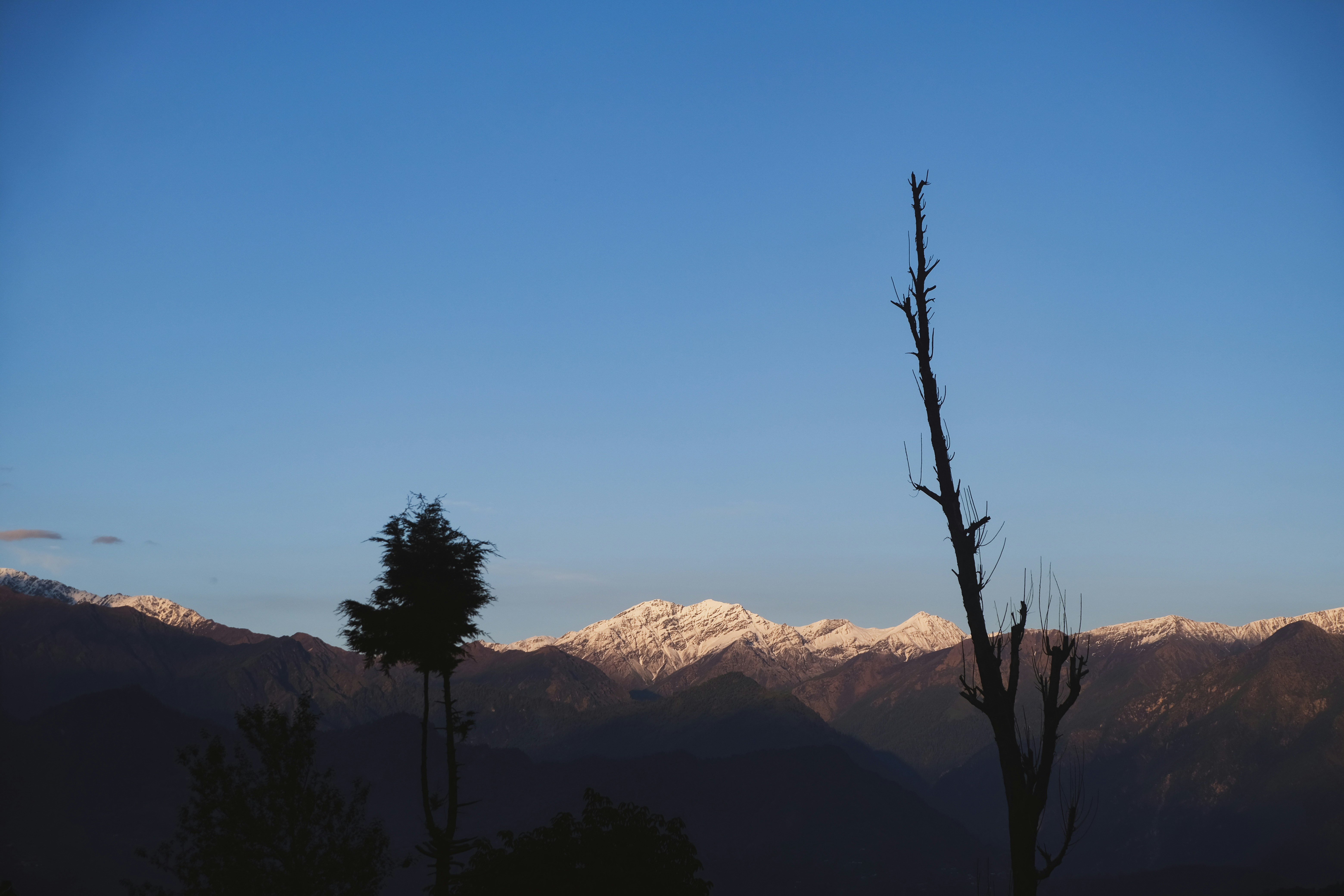Snow-kissed Ridge at Blue Hour
