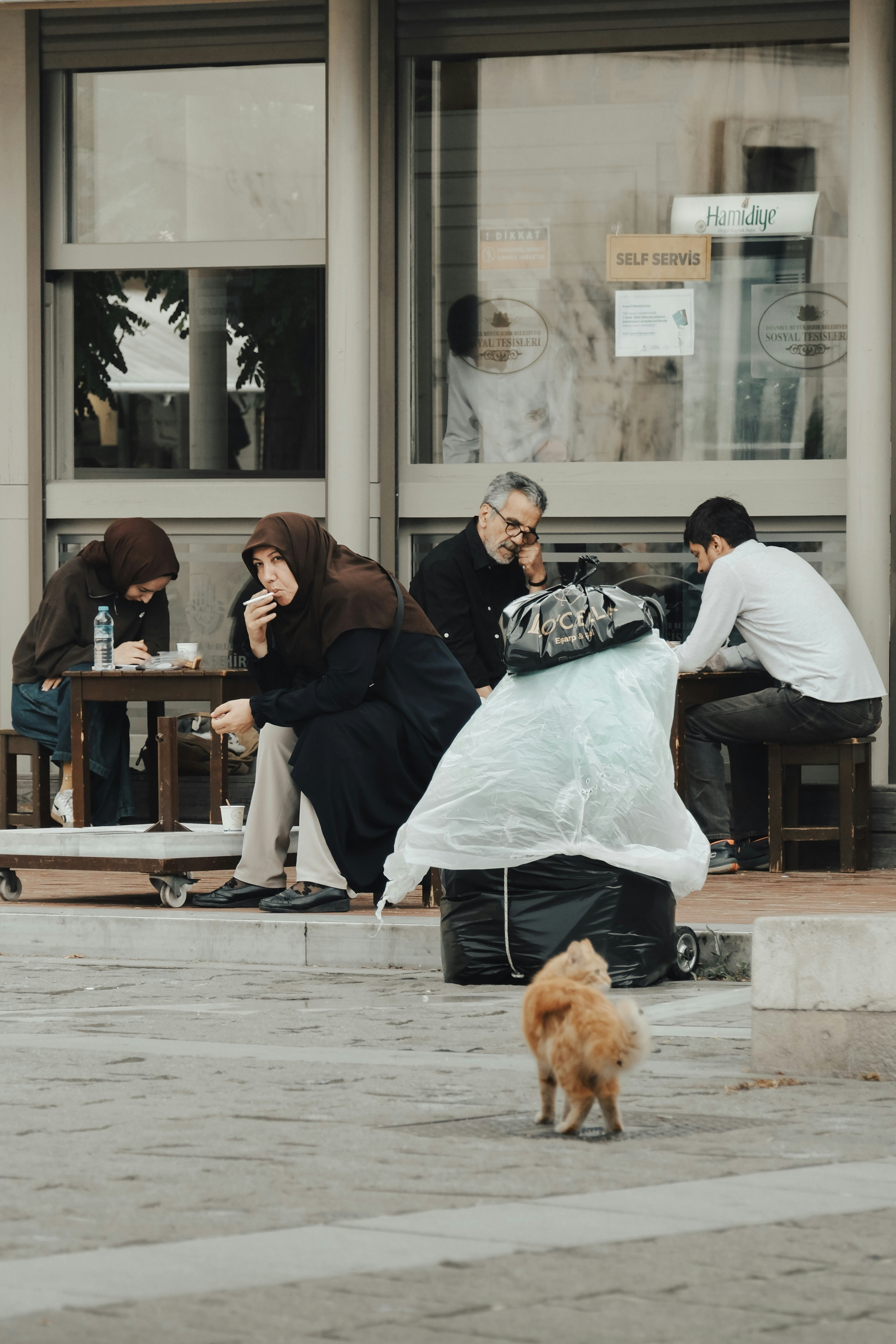 Street Café by Day: A Small Crowd, a Plastic-Sheathed Pedestrian and a Curious Pooch