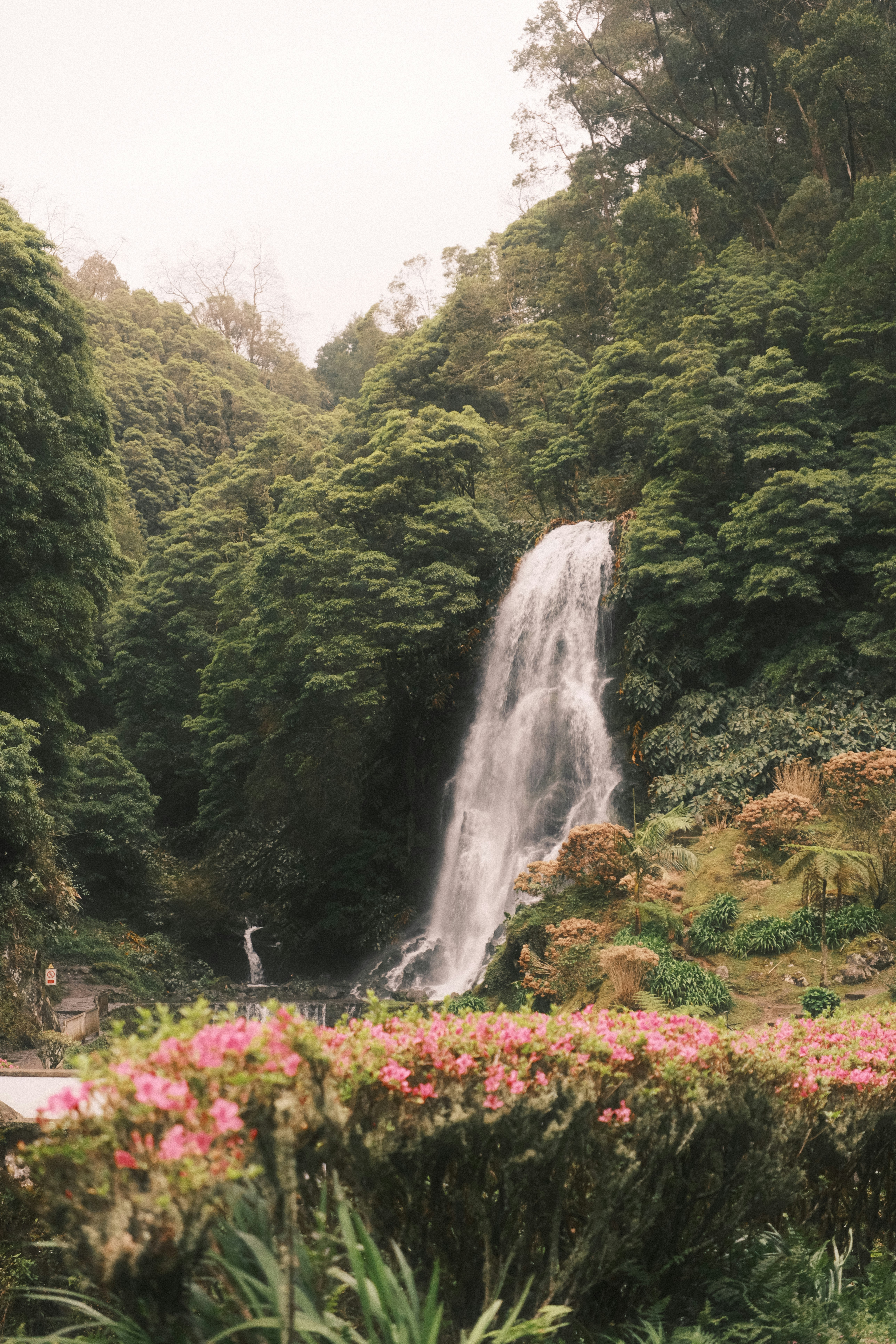 Cascade in the Green Embrace