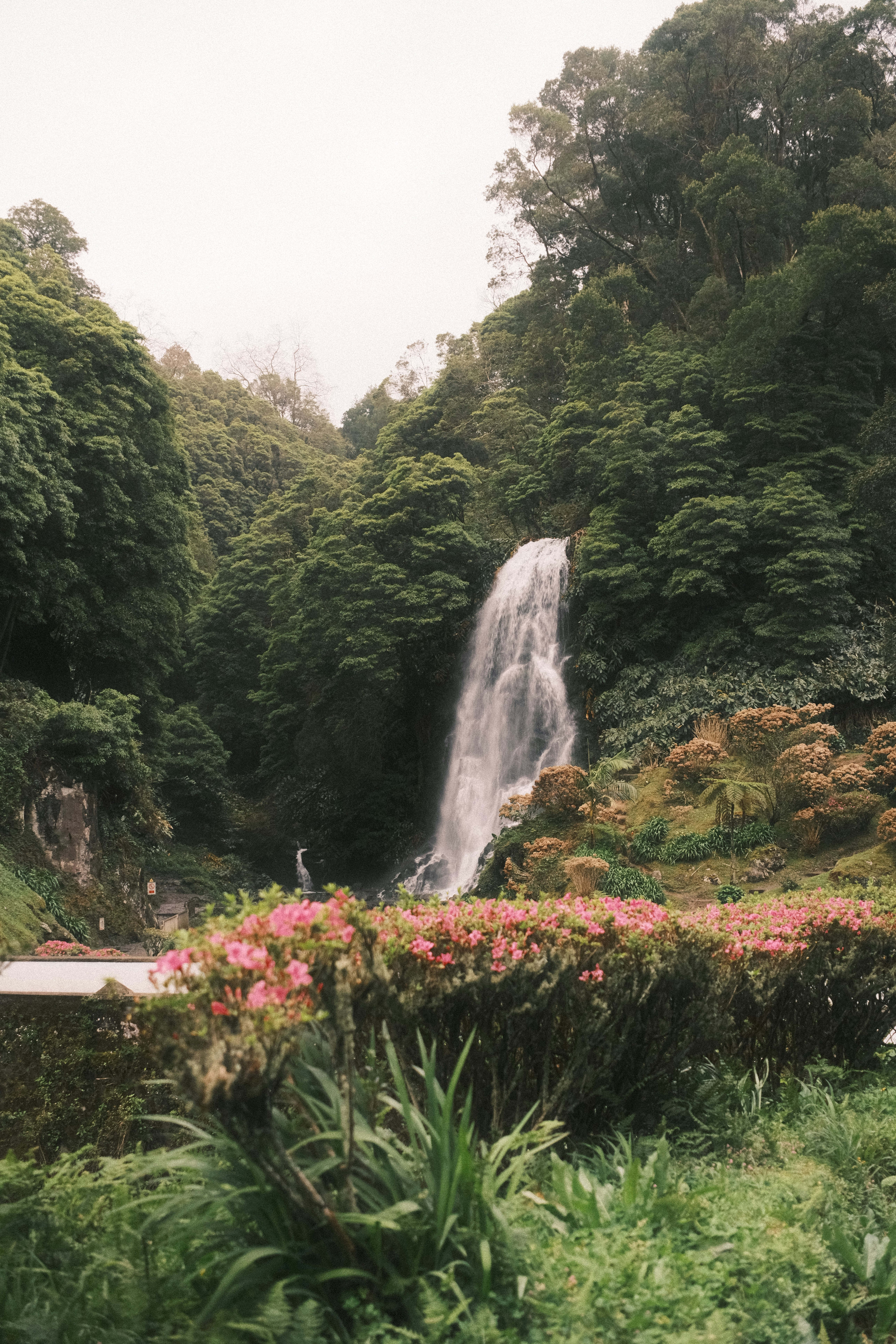 Cascade in Colorful Garden Vale