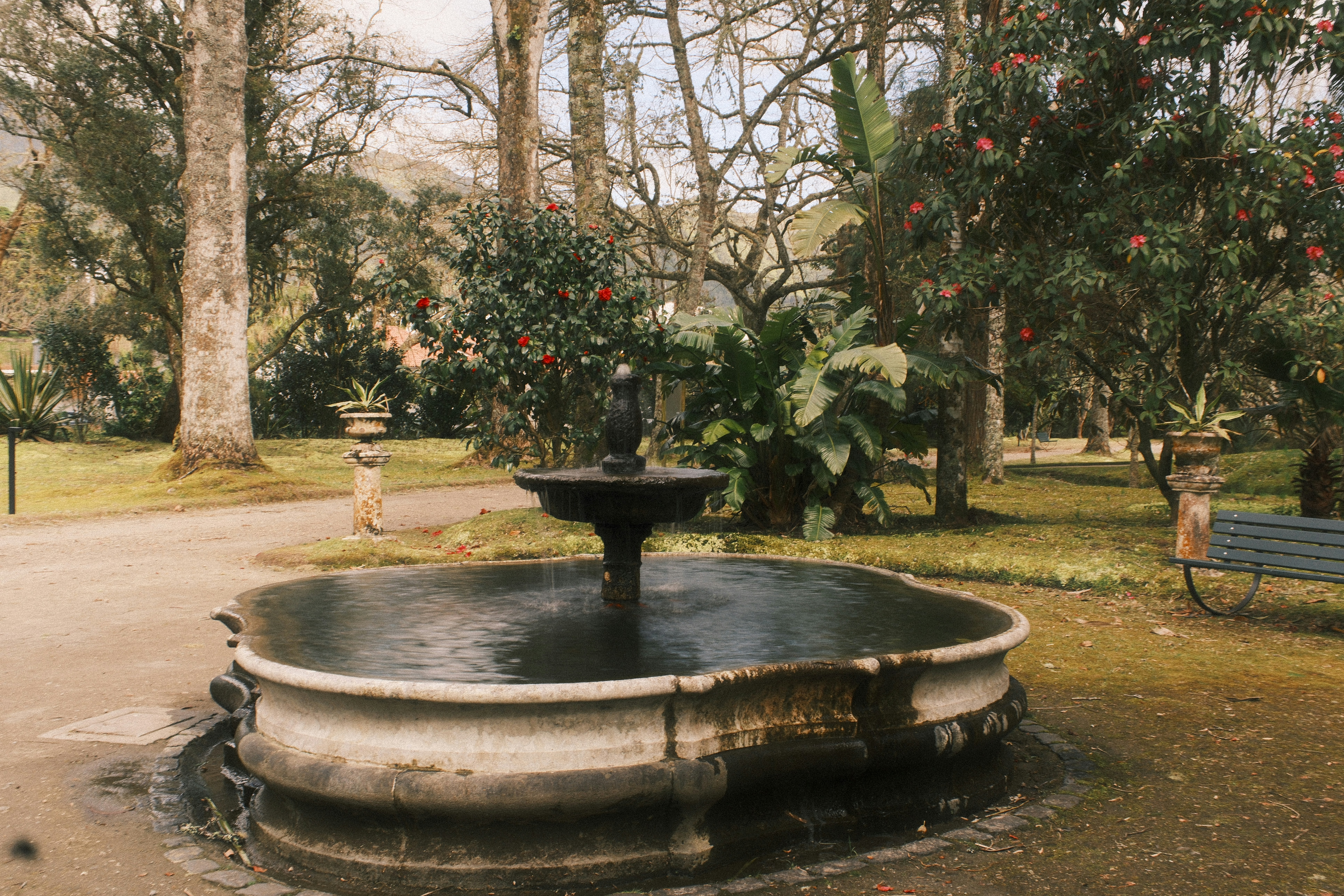 Timeless Fountain in a Quiet Park