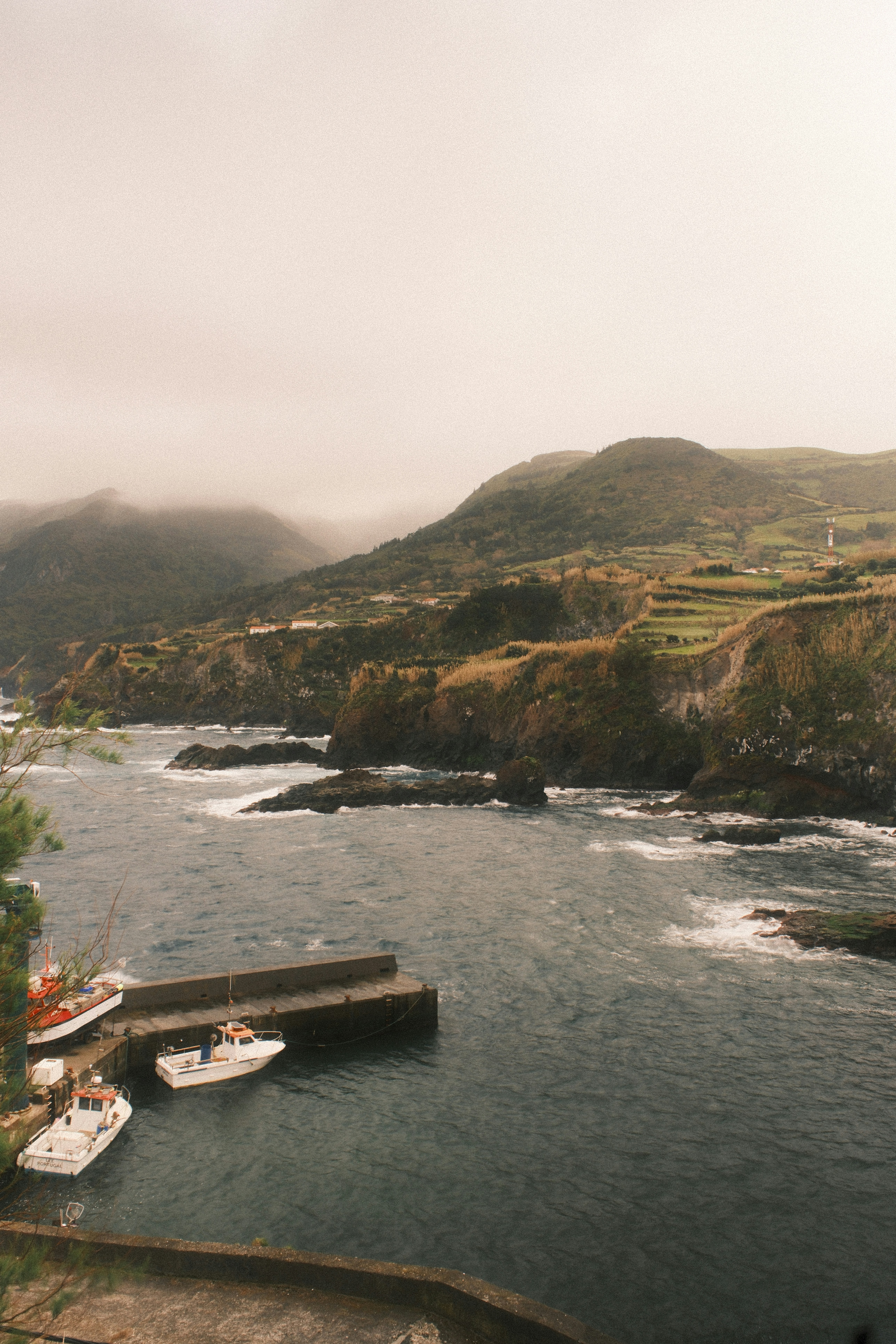 Harbor Venture at the Misty Cliffs