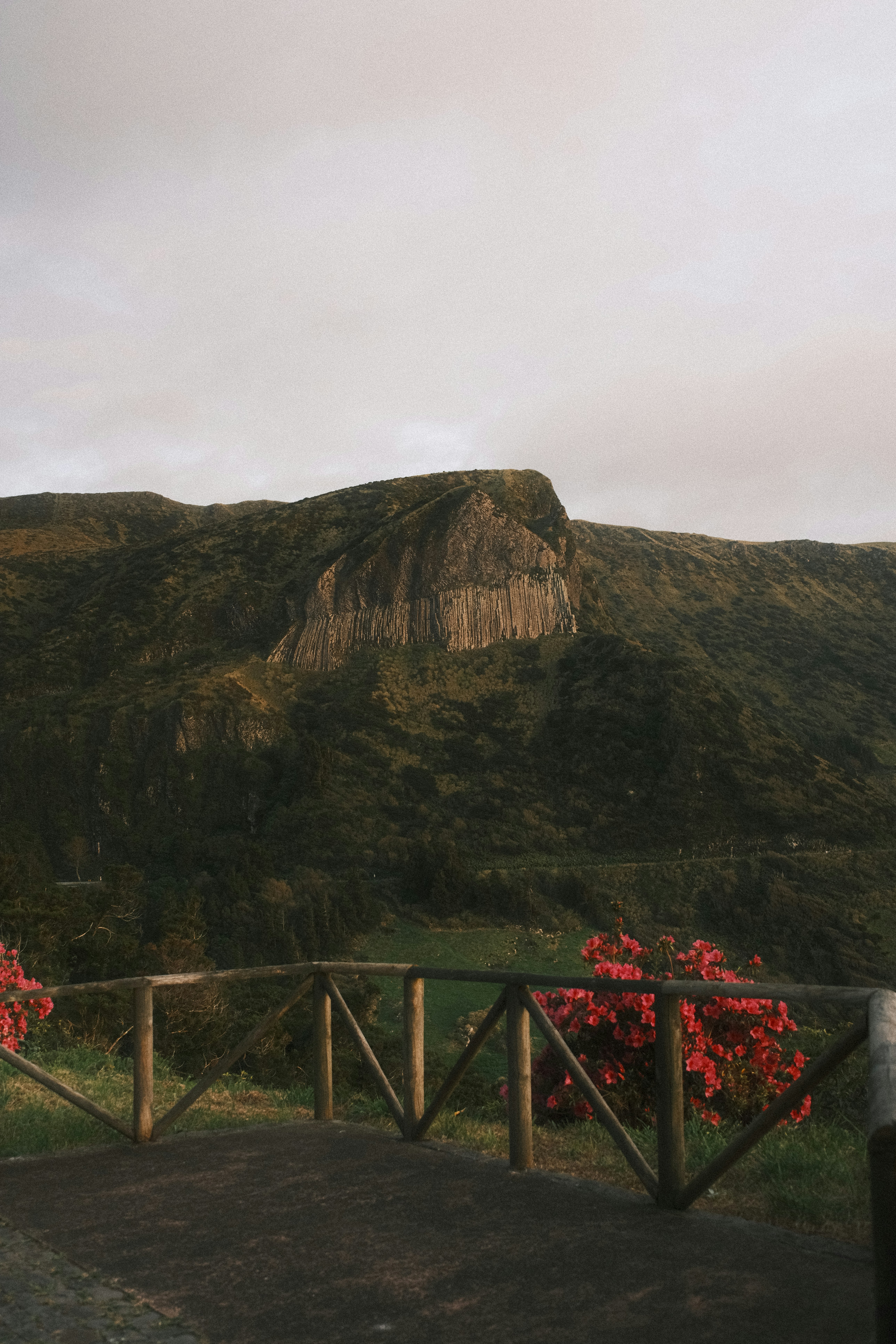 Stone Ridge Overlook with Crimson Flowers at Sunset